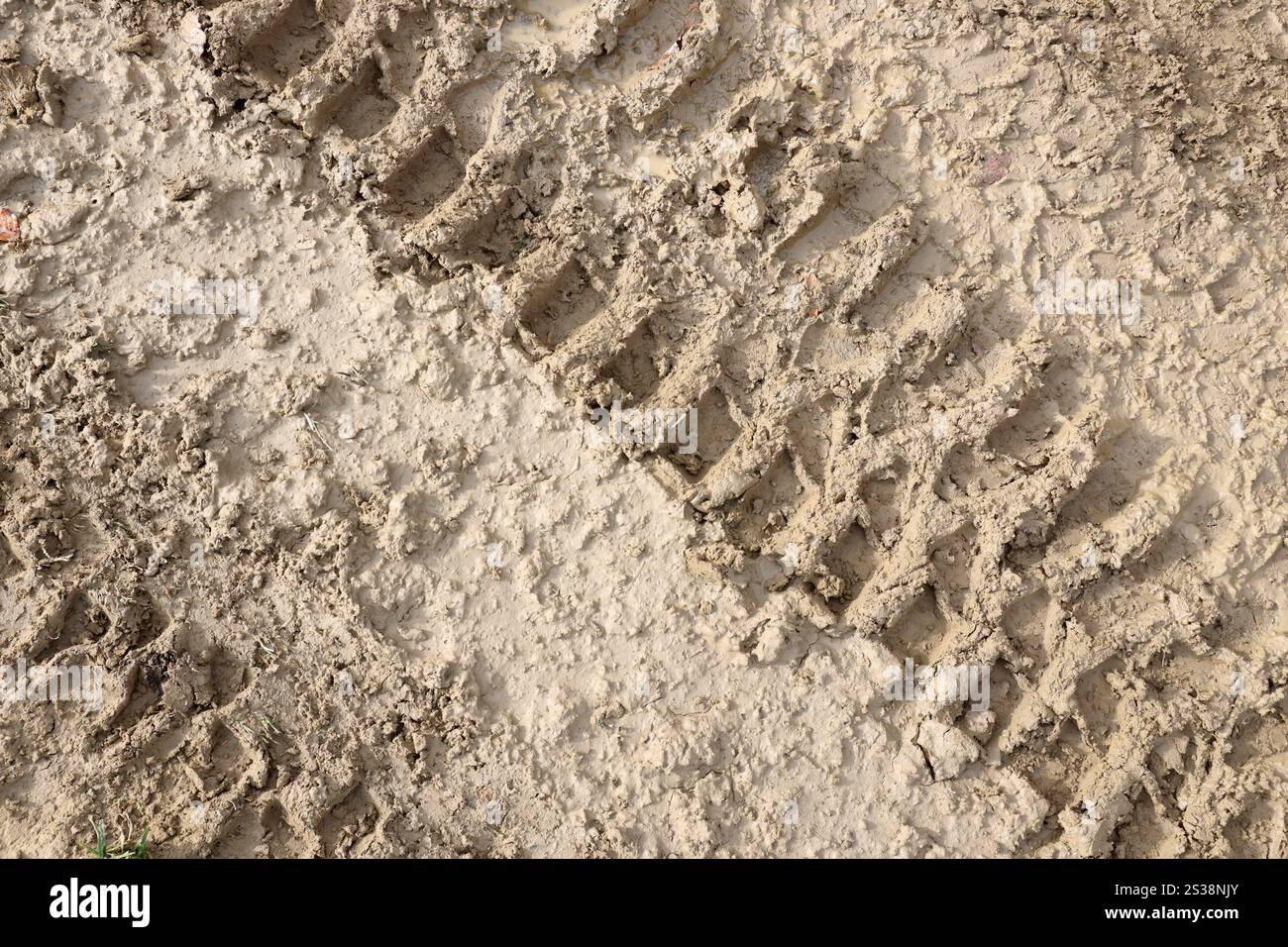 Wheel track on mud. Traces of a tractor or heavy off-road car on brown ...