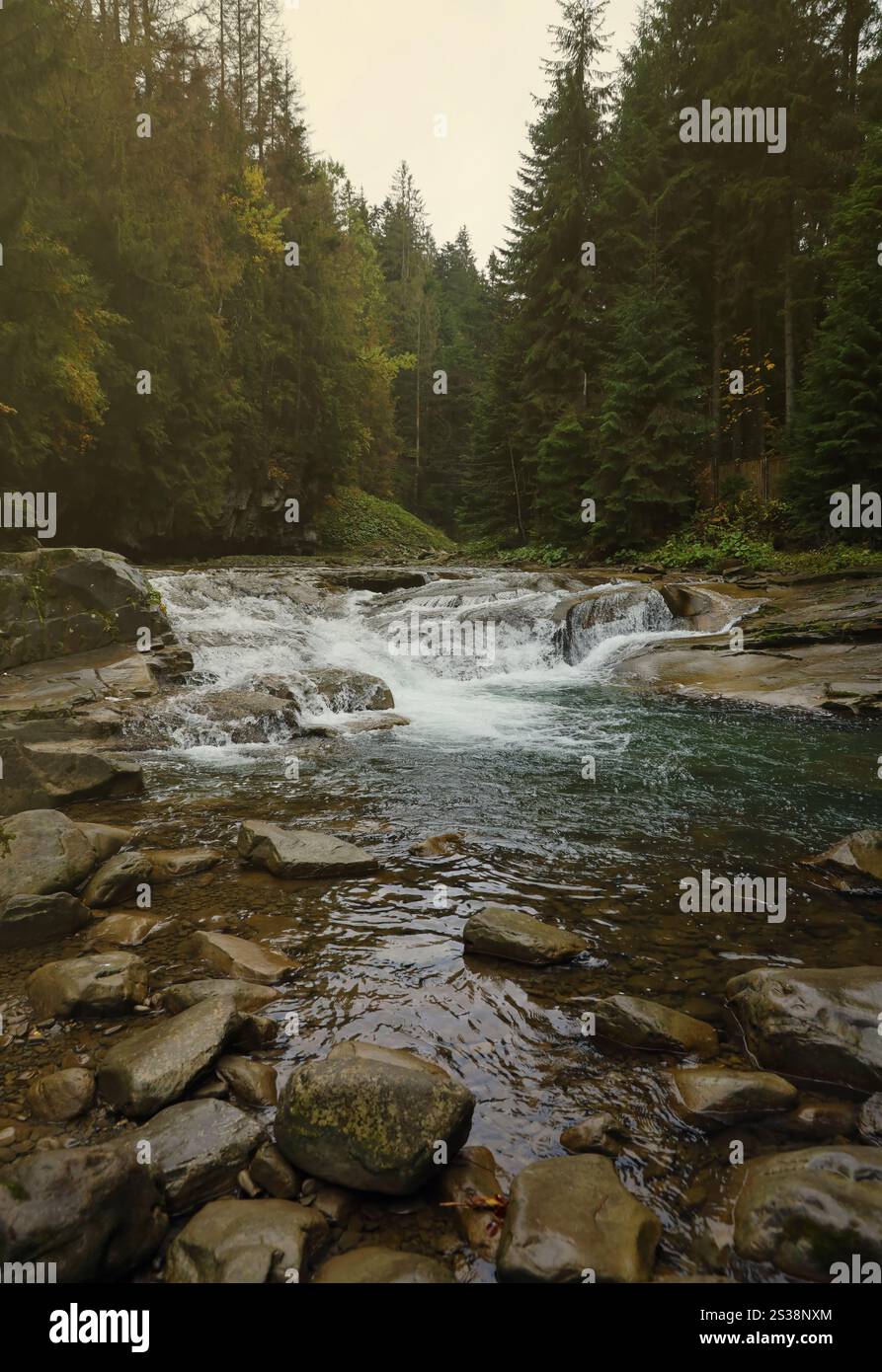 A bright blue river flowing through forest in a hidden park along the ...