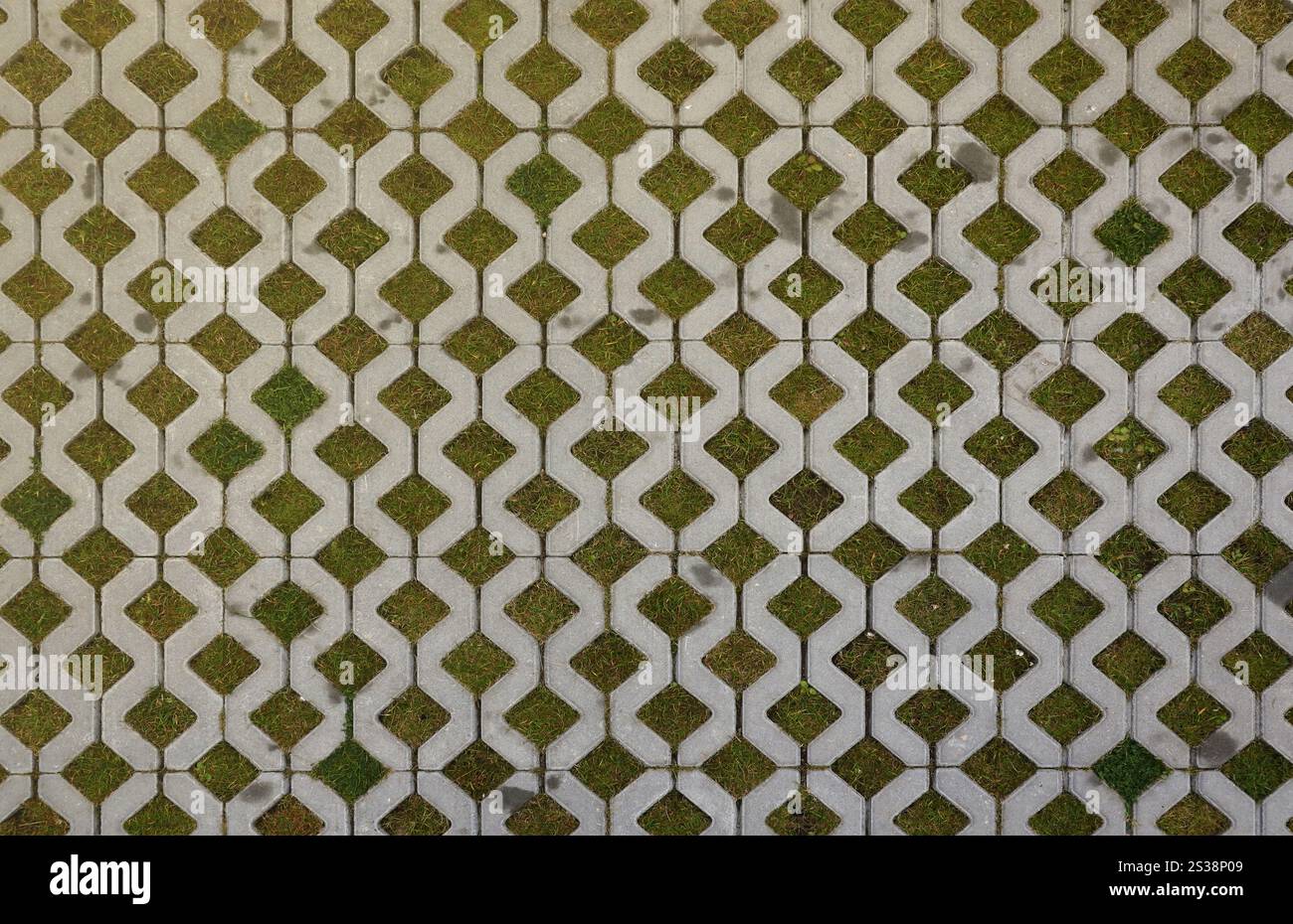 Geometric background of eco floor bricks and green grass. Eco parking ...
