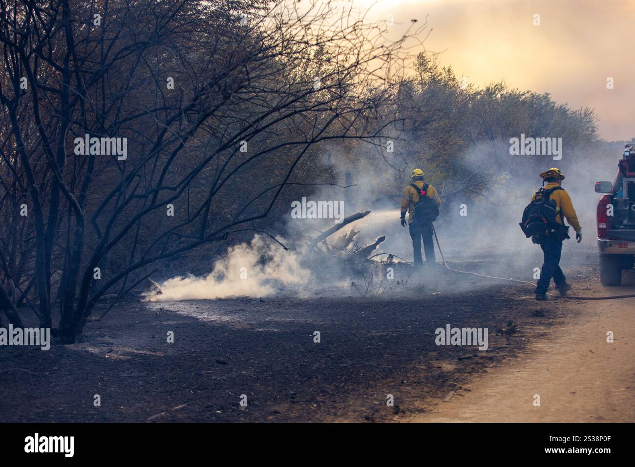 Firefighters battle multiple wildfires across Los Angeles, including the Palisades, Eaton, Hurst ...