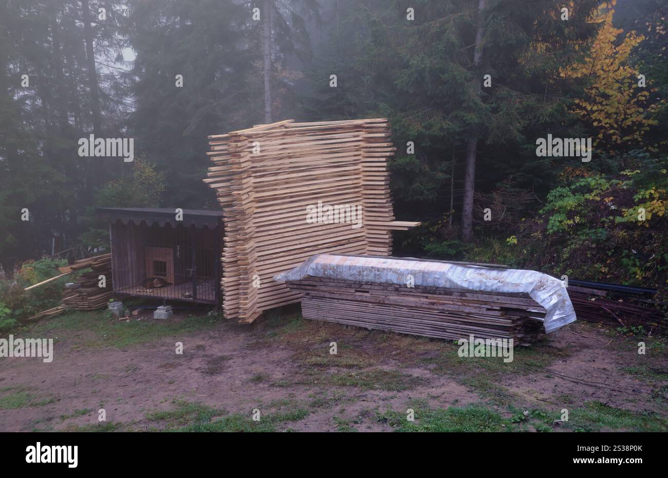 Stacked Wood Planks outdoors in forest area. Industrial timber for ...