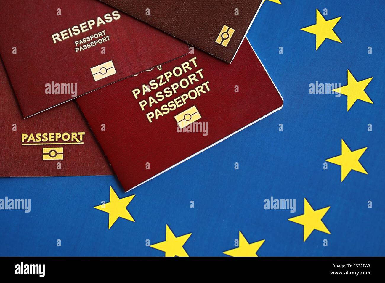 European union countries passports on blue EU flag close up. Portugal ...