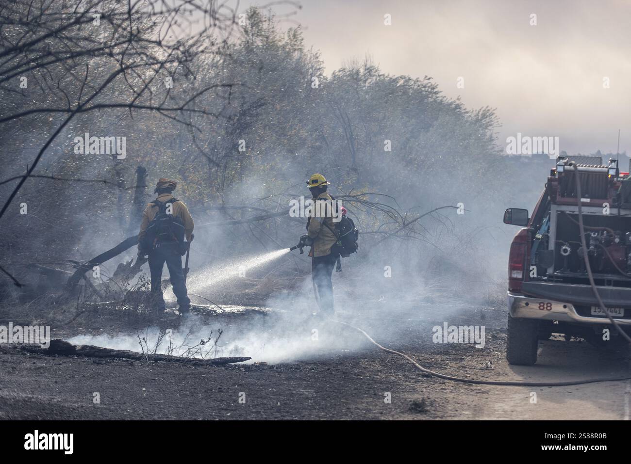 Firefighters battle multiple wildfires across Los Angeles, including the Palisades, Eaton, Hurst ...