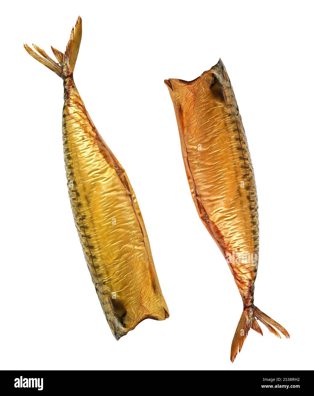 Smoked fish without the head isolated on white background. Smoked fish ...