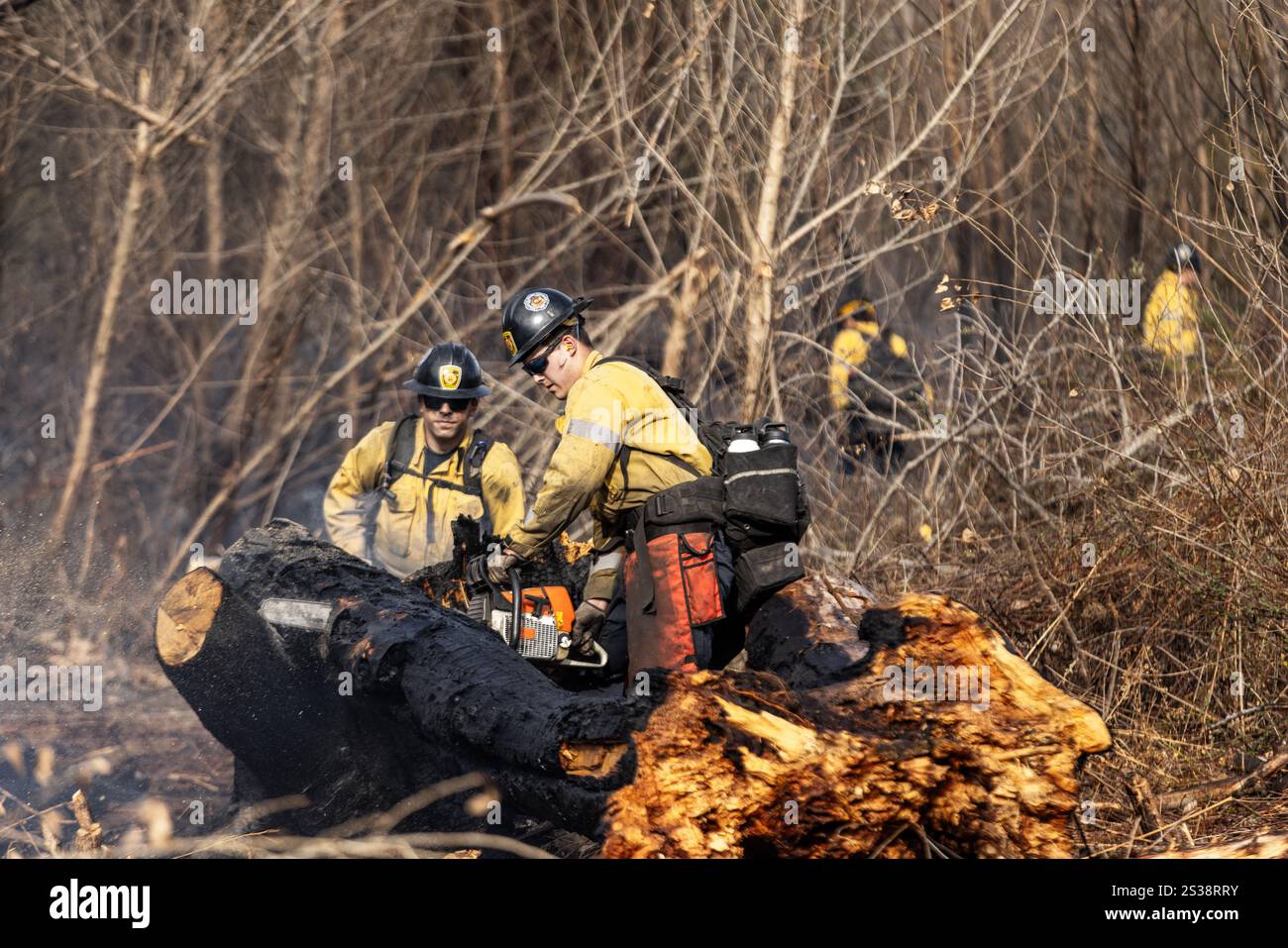 Firefighters battle multiple wildfires across Los Angeles, including the Palisades, Eaton, Hurst ...