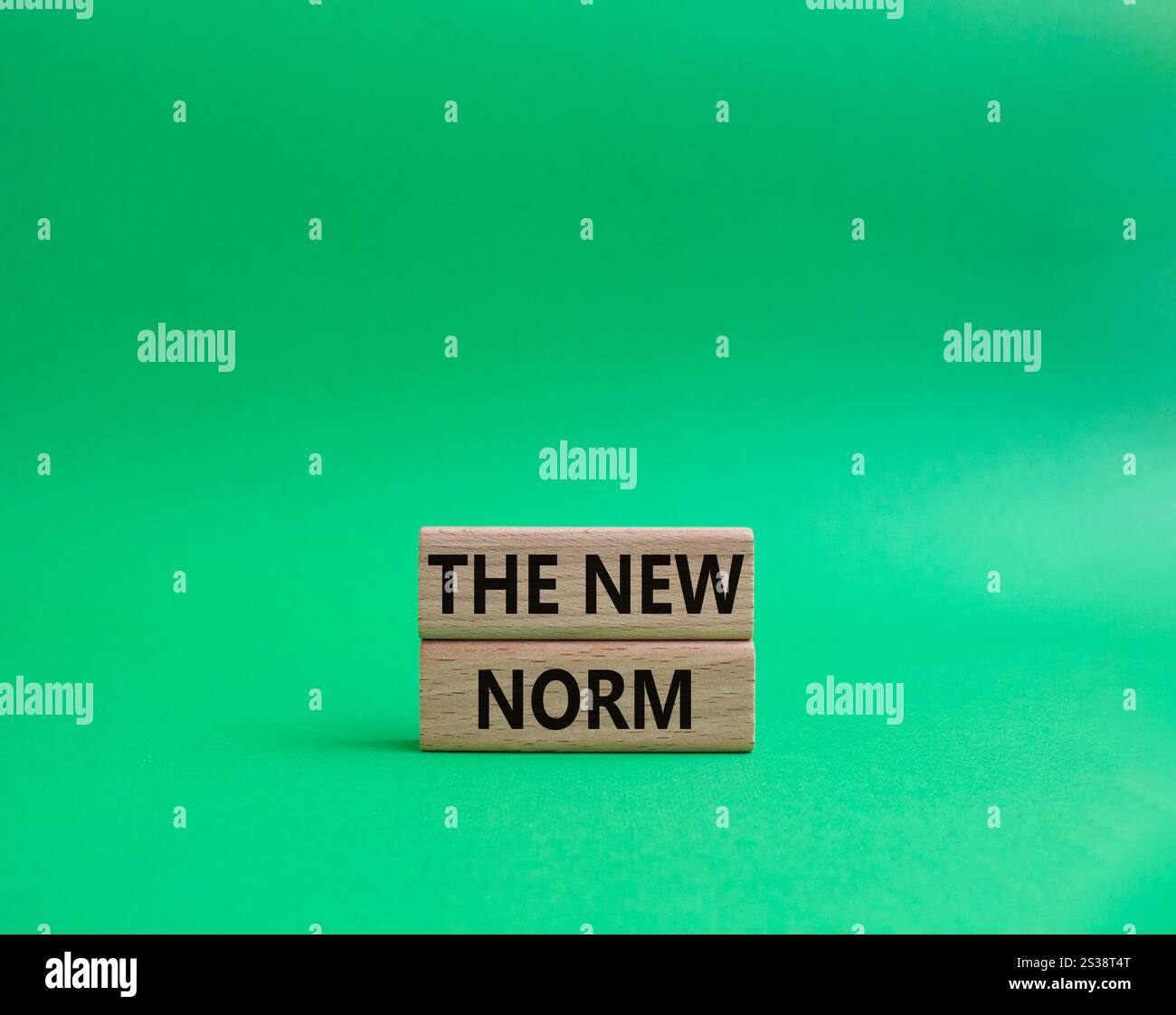 The new norm symbol. Concept words The new norm on wooden blocks ...