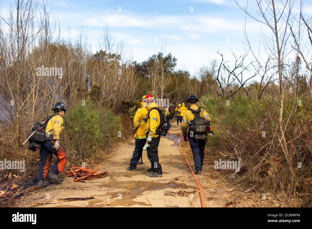 Firefighters battle multiple wildfires across Los Angeles, including the Palisades, Eaton, Hurst ...