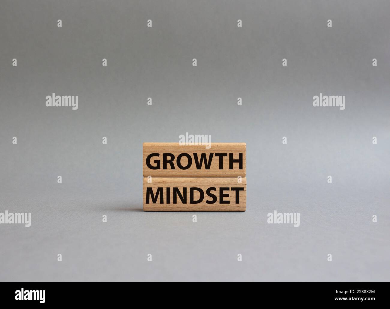 Growth Mindset symbol. Concept word Growth Mindset on wooden blocks ...