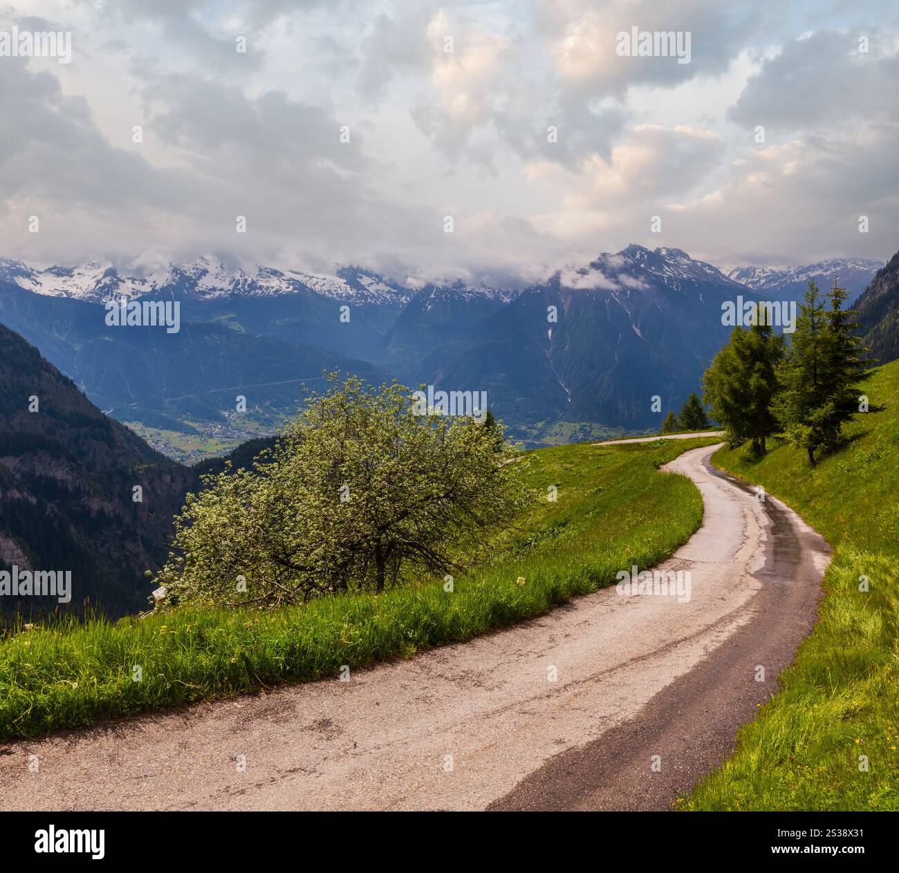 Summer Alps mountain landscape with rural road and wild flowers on ...