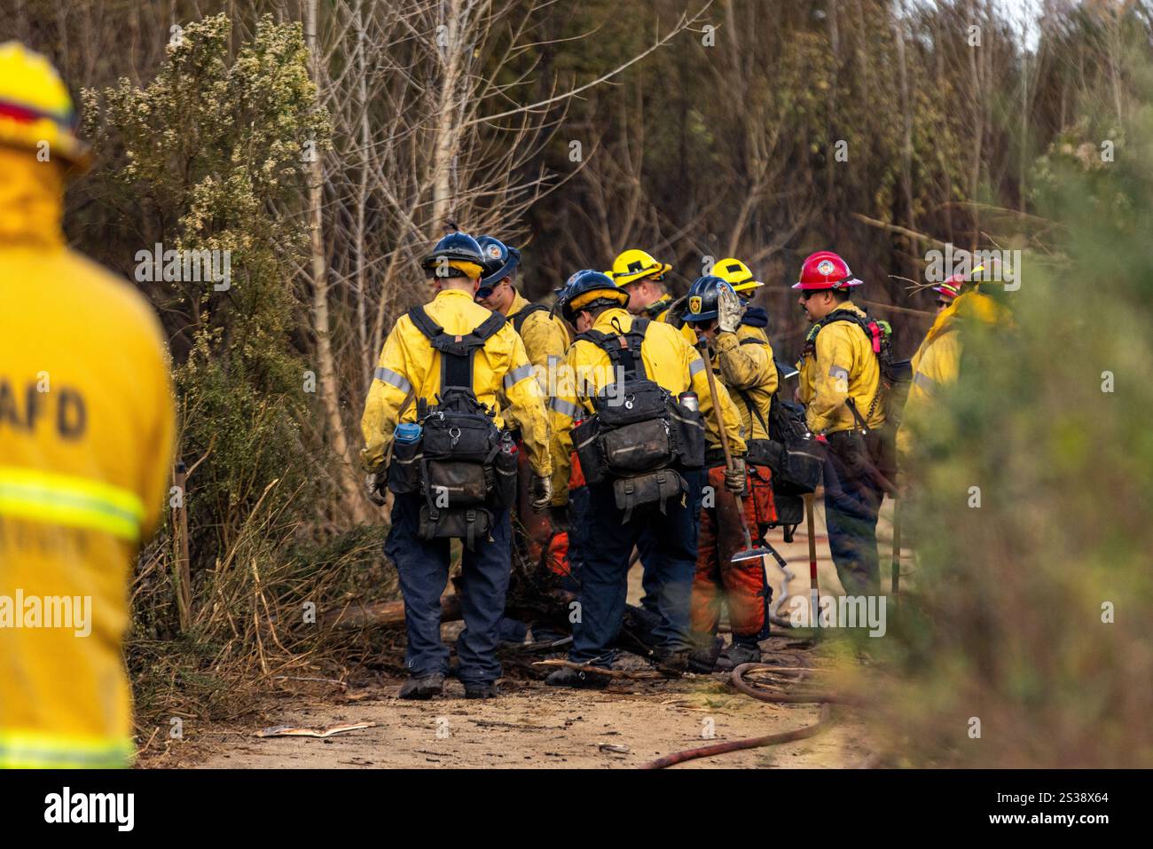 Firefighters battle multiple wildfires across Los Angeles, including the Palisades, Eaton, Hurst ...