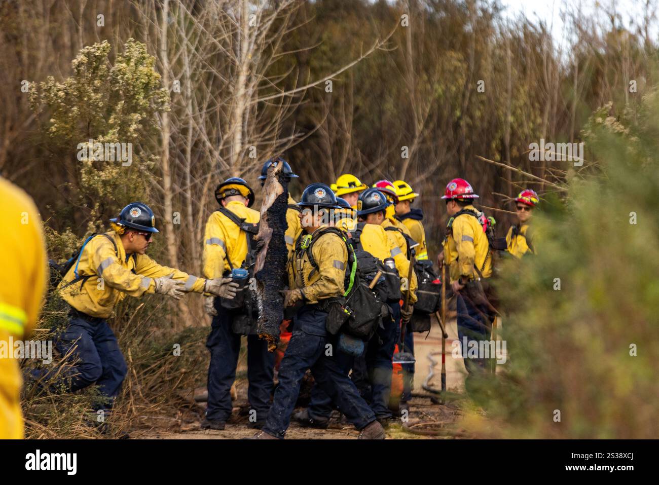 Firefighters battle multiple wildfires across Los Angeles, including the Palisades, Eaton, Hurst ...
