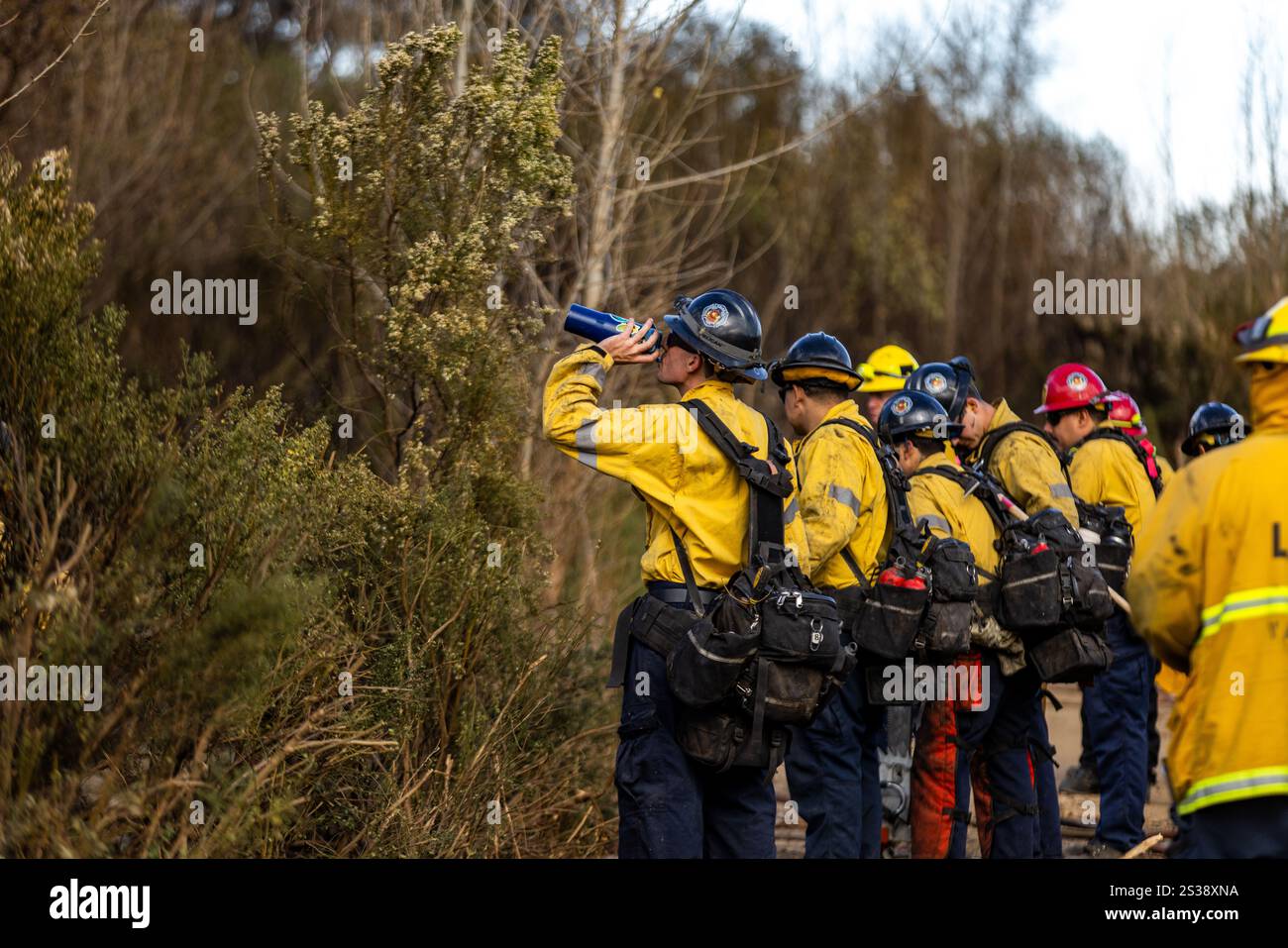 Firefighters battle multiple wildfires across Los Angeles, including the Palisades, Eaton, Hurst ...