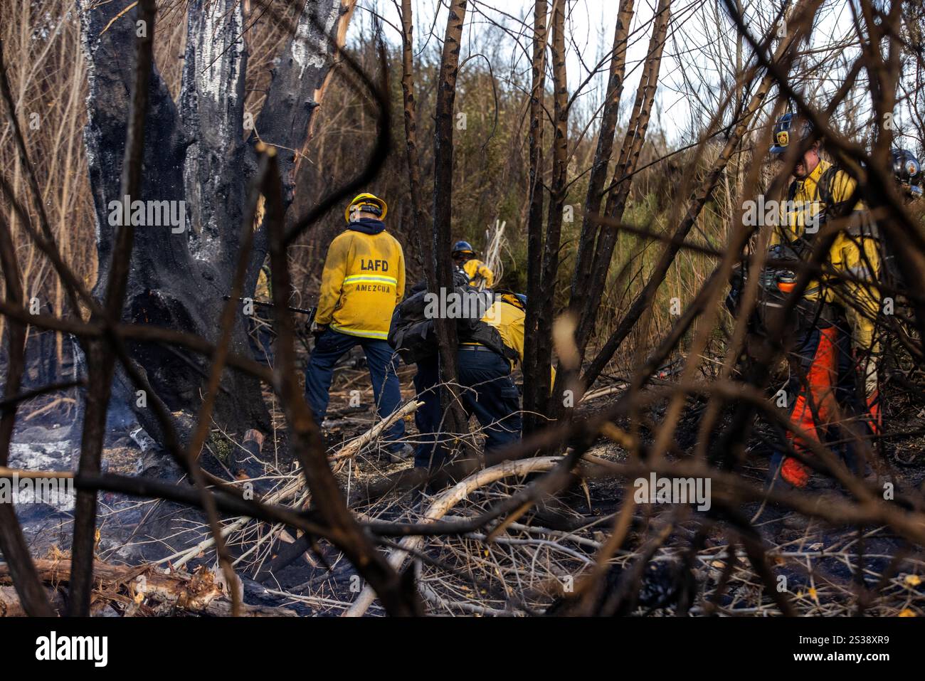 Firefighters battle multiple wildfires across Los Angeles, including the Palisades, Eaton, Hurst ...