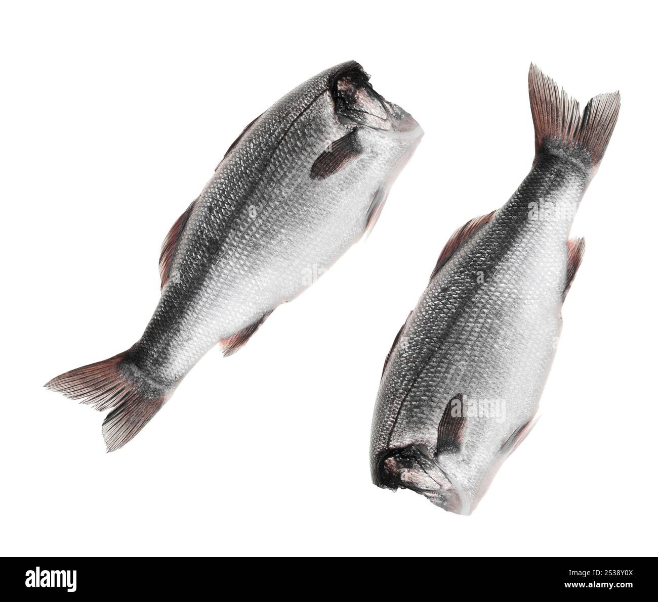 fishes without head on a white background Stock Photo - Alamy