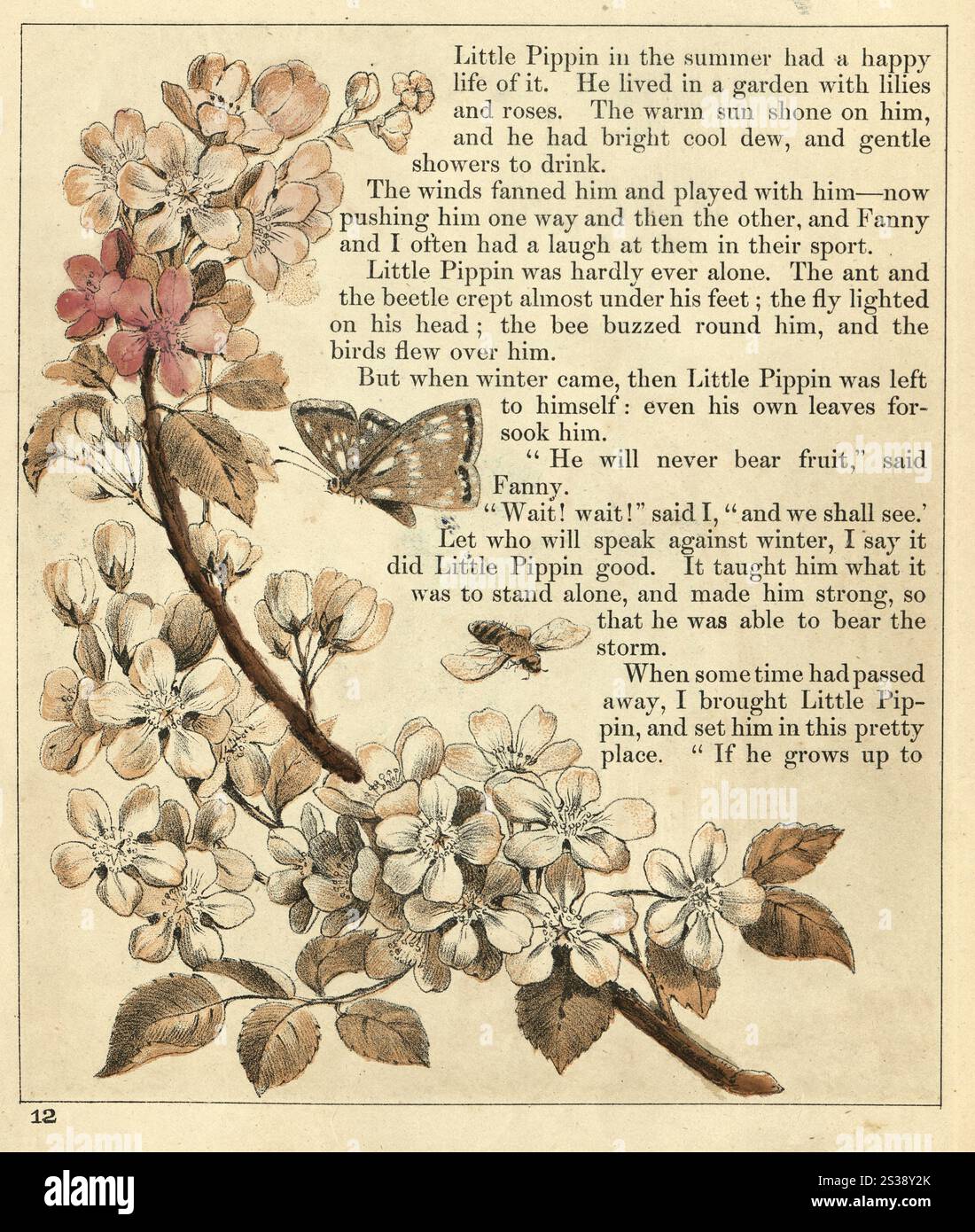 Victorian wildflowers hi-res stock photography and images - Alamy