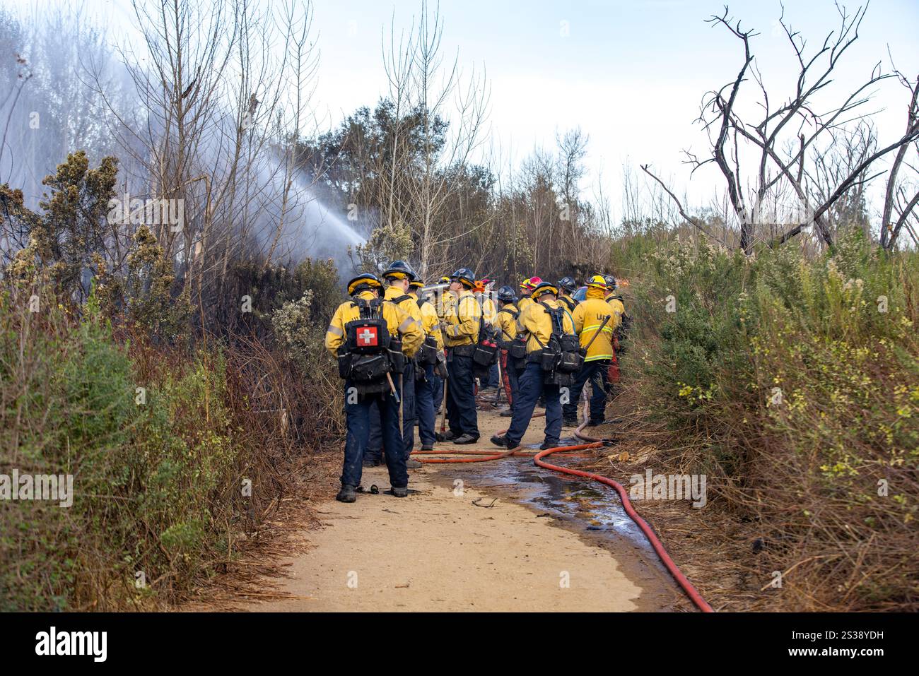 Firefighters battle multiple wildfires across Los Angeles, including the Palisades, Eaton, Hurst ...
