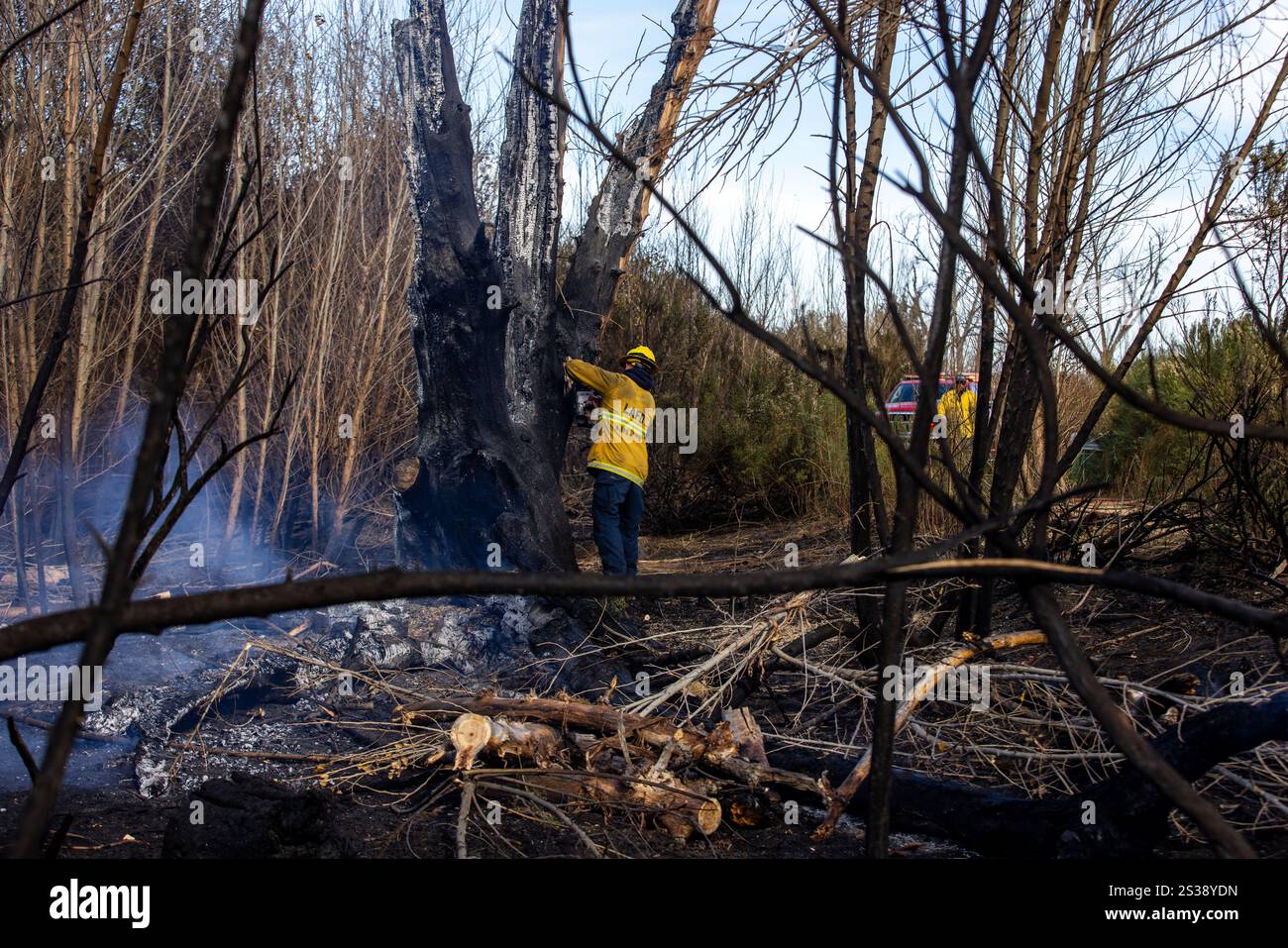 Firefighters battle multiple wildfires across Los Angeles, including the Palisades, Eaton, Hurst ...