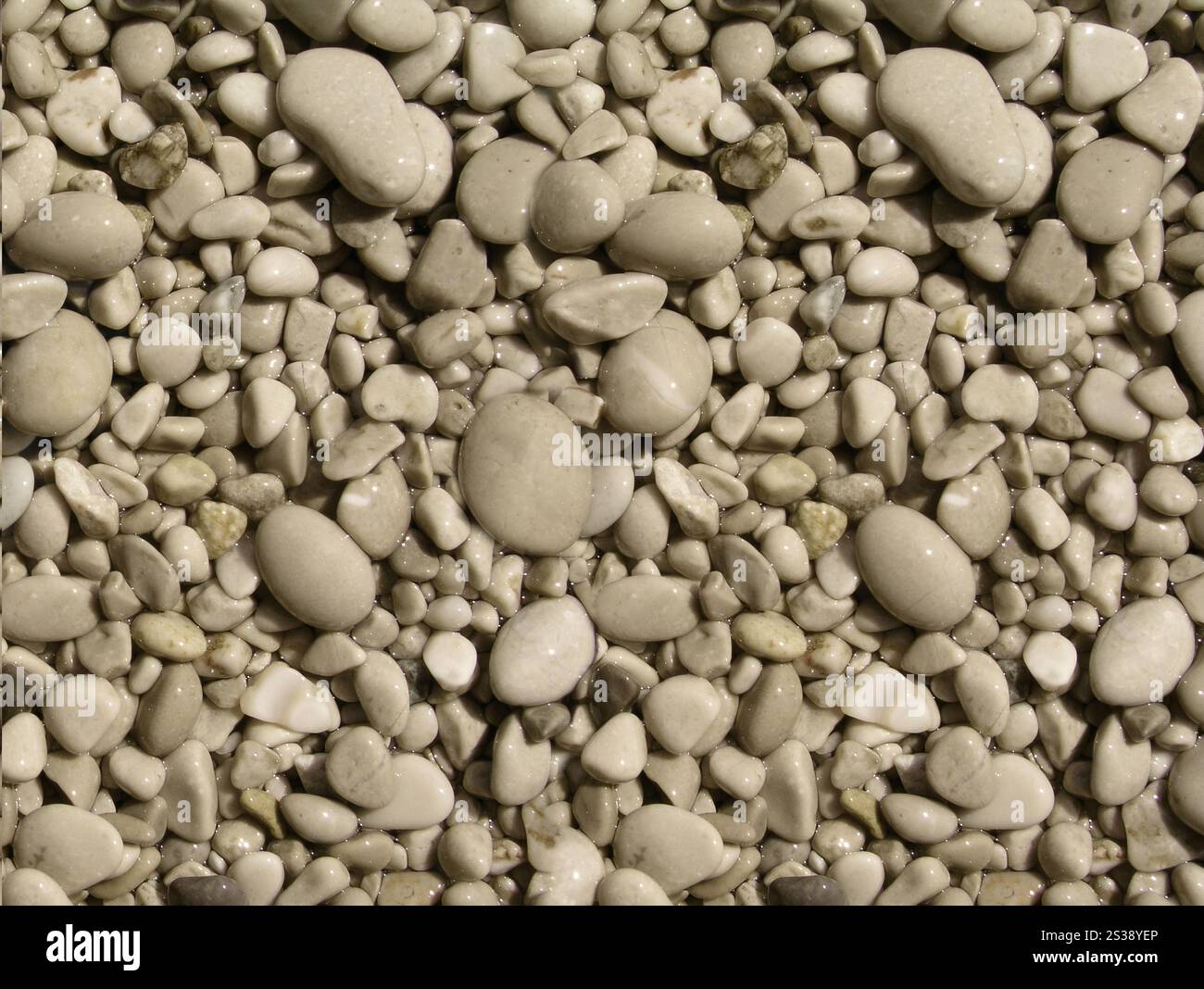 Top view of a clean and homogeneous white pebbles texture background ...