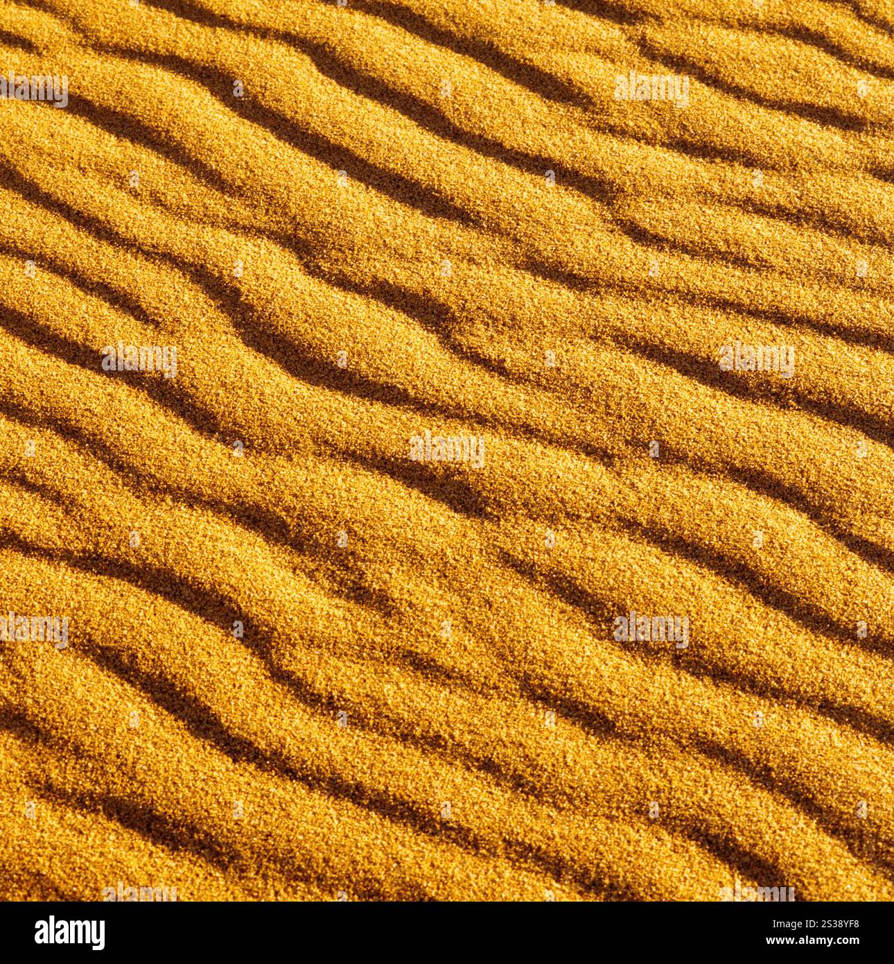 Showcasing wavy lines hi-res stock photography and images - Alamy