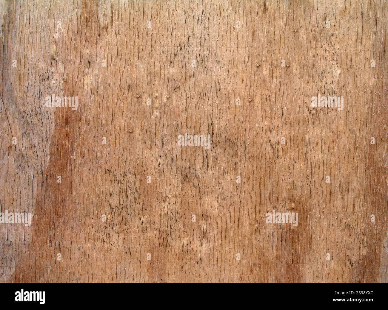 High resolution natural pattern textured wood grain background with ...