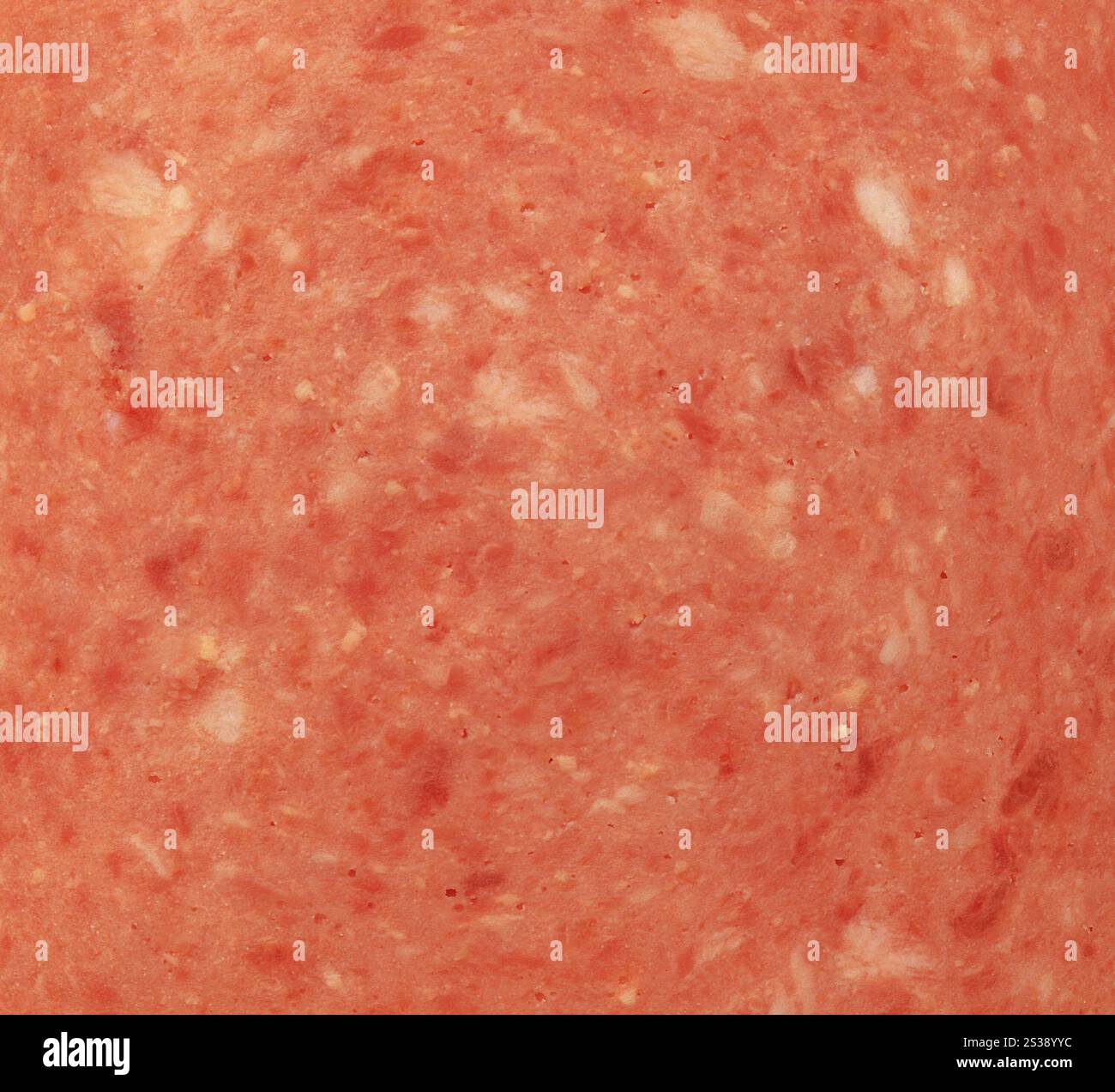 High-resolution image capturing the detailed texture of raw ground meat ...