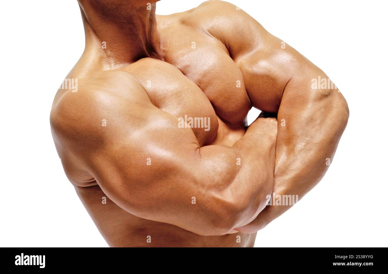 Close-up view of a well-defined flexed bicep muscle isolated on white ...