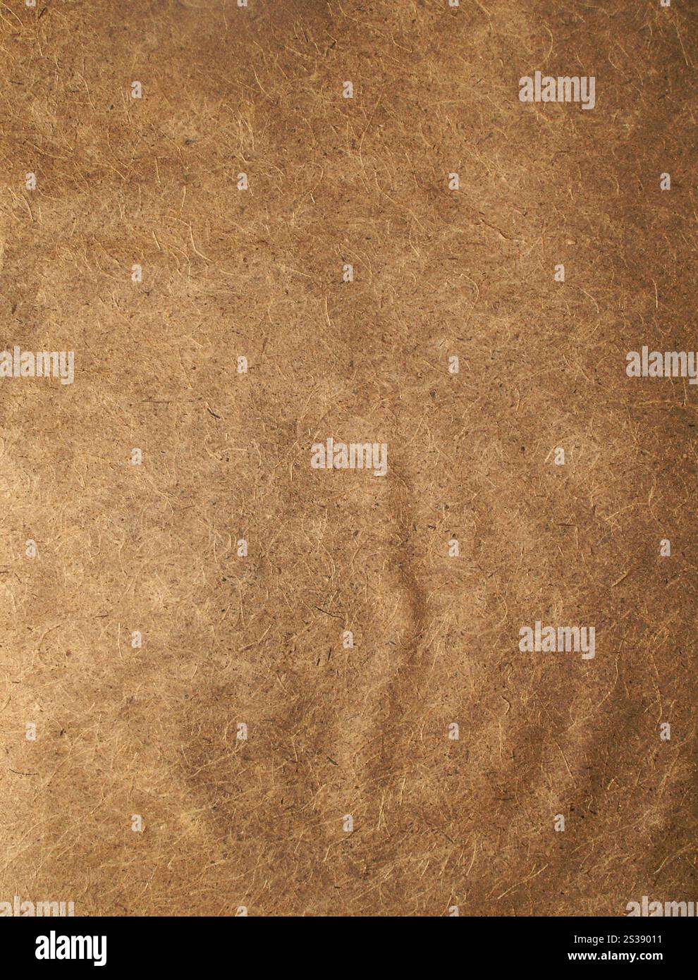 High-resolution image showcasing the intricate fibers of brown natural ...