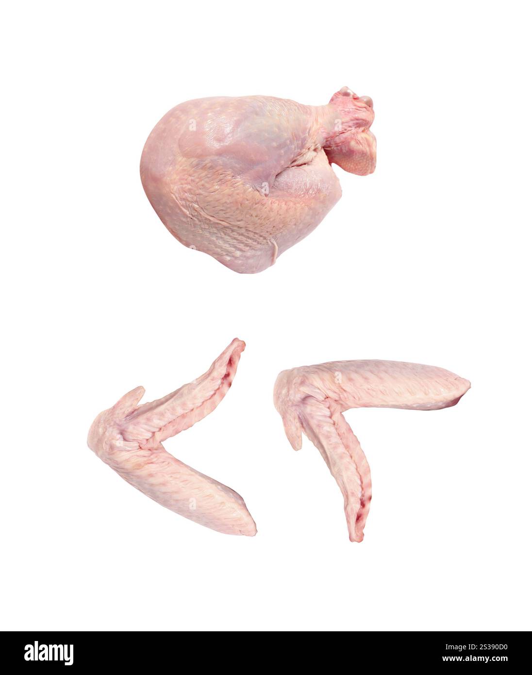 Fresh chicken drumstick on white Stock Photo - Alamy