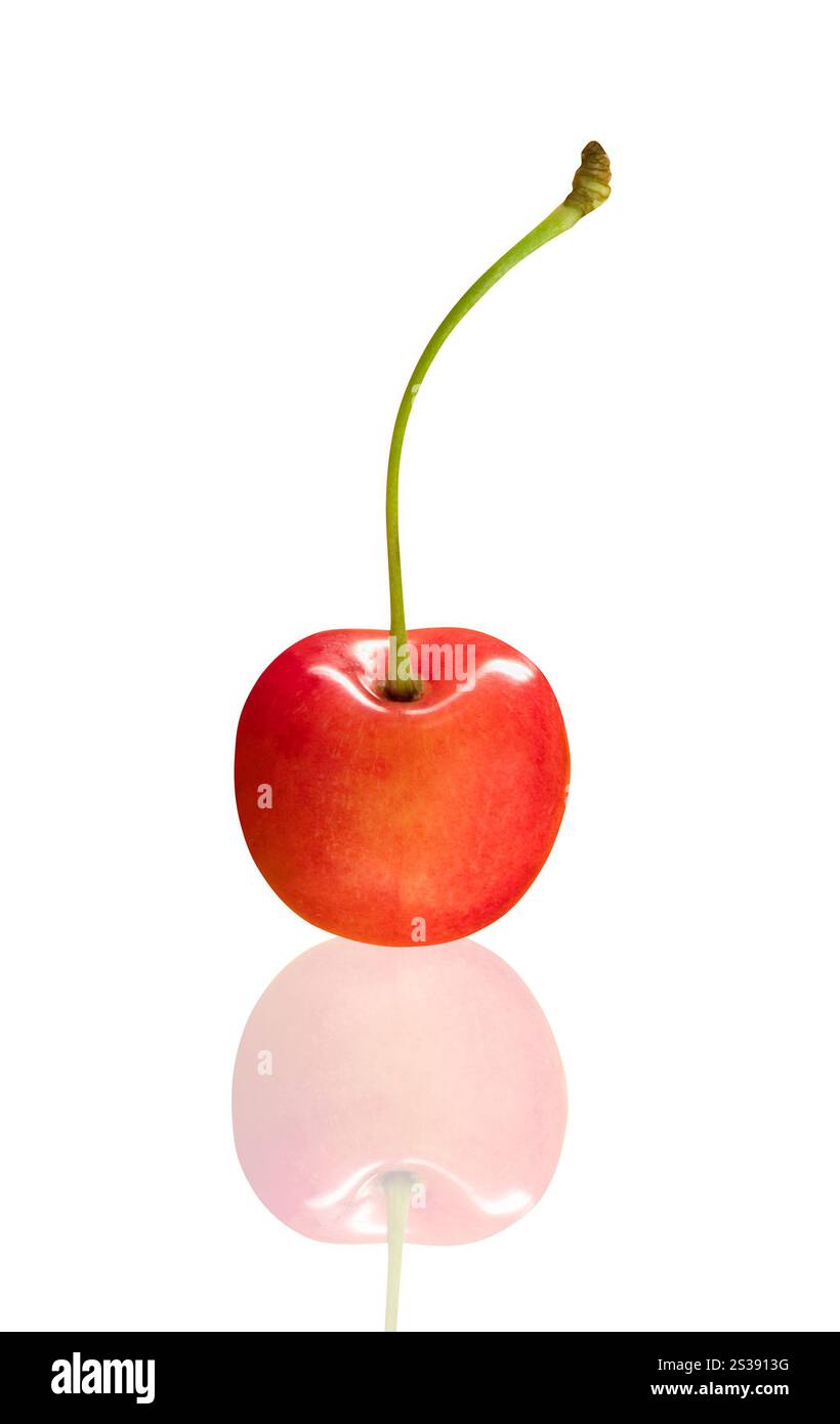 Sour cherries on cherry hi-res stock photography and images - Alamy