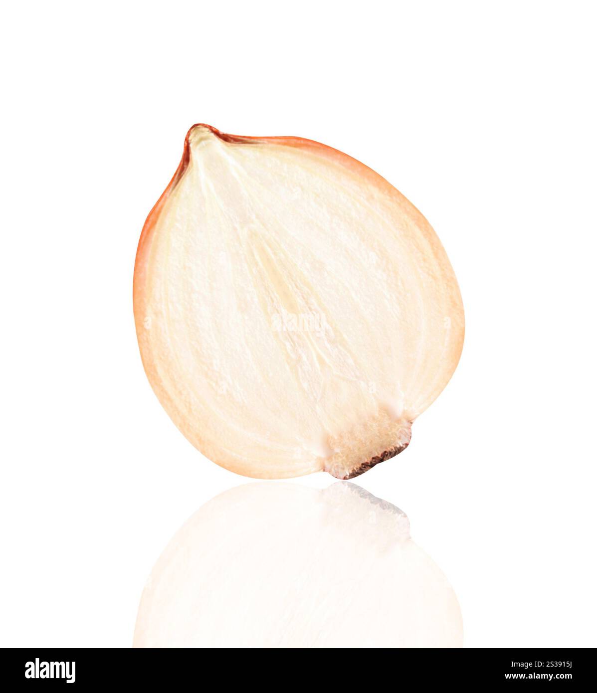 Onion cut in half isolated on a white background Stock Photo - Alamy