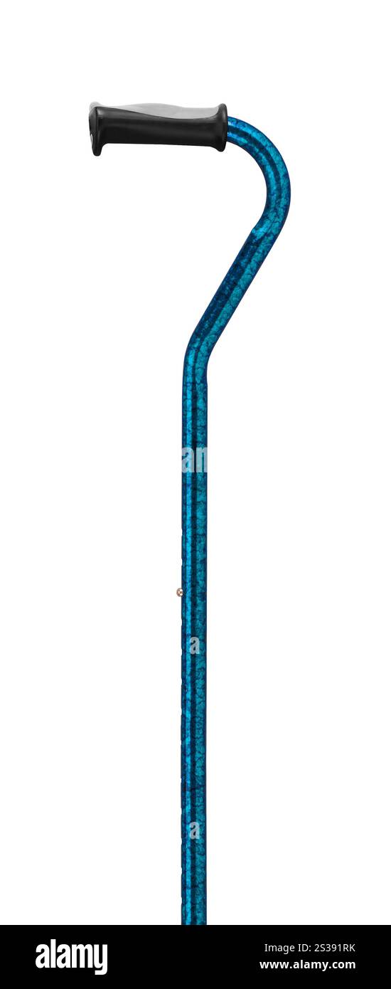 green walking stick under thew white background. green walking stick ...