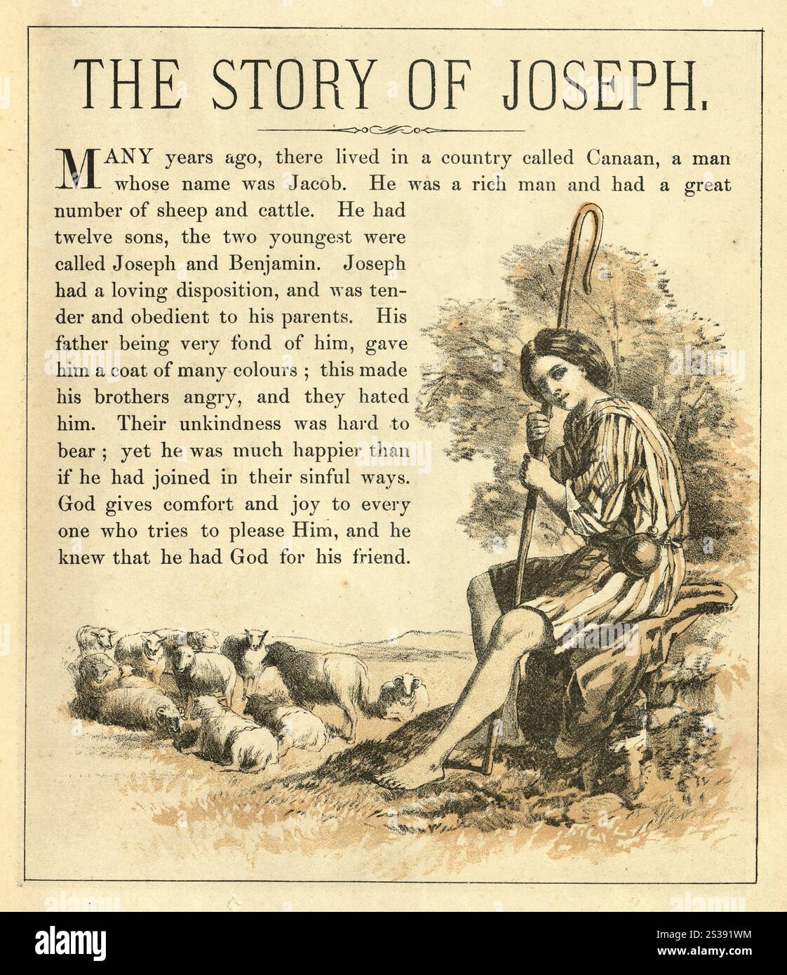 The Story of Joseph, Shepherd boy and his flock of sheep, Bible ...