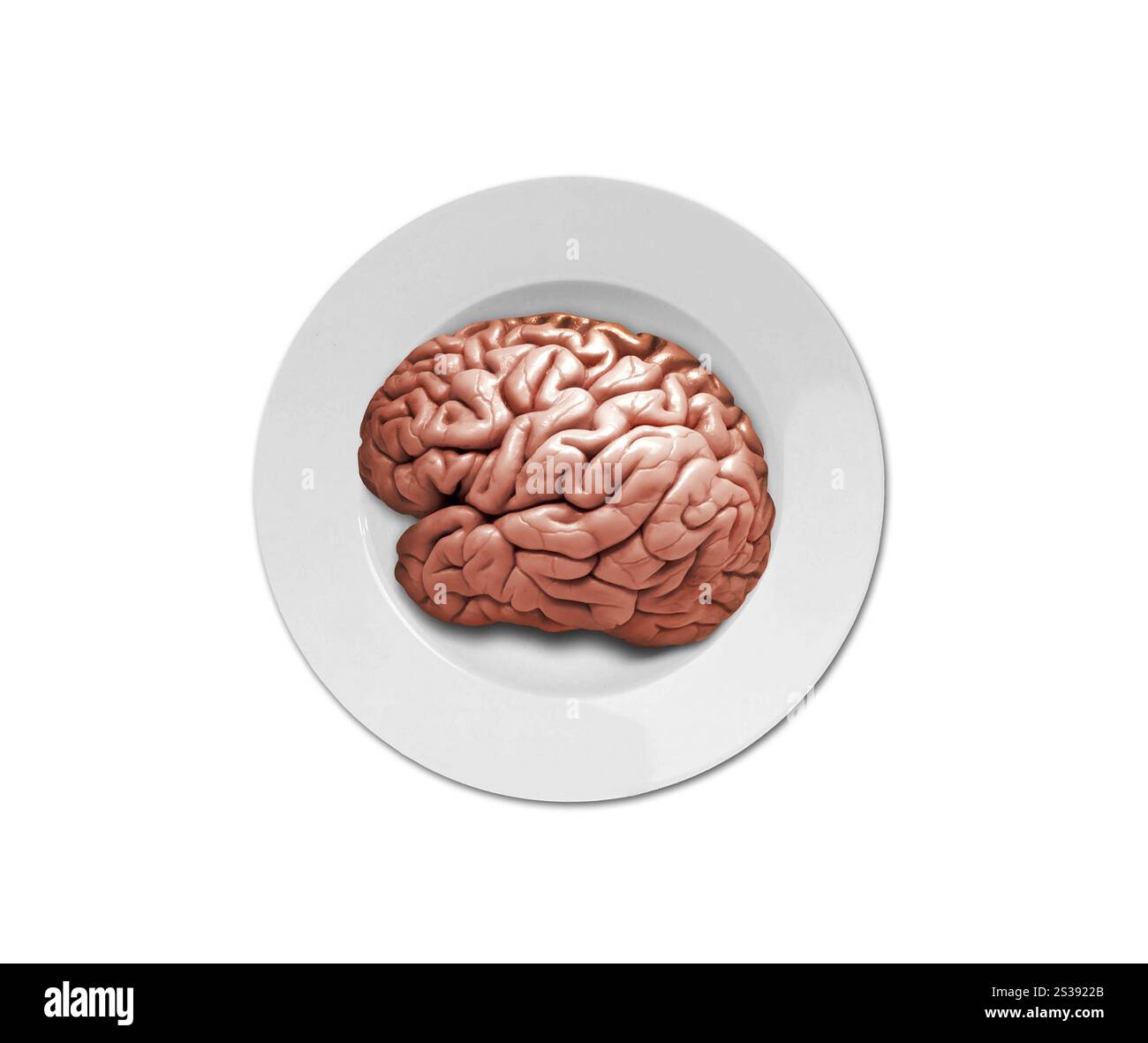 human brain on plate isolated on white background. human brain on plate ...