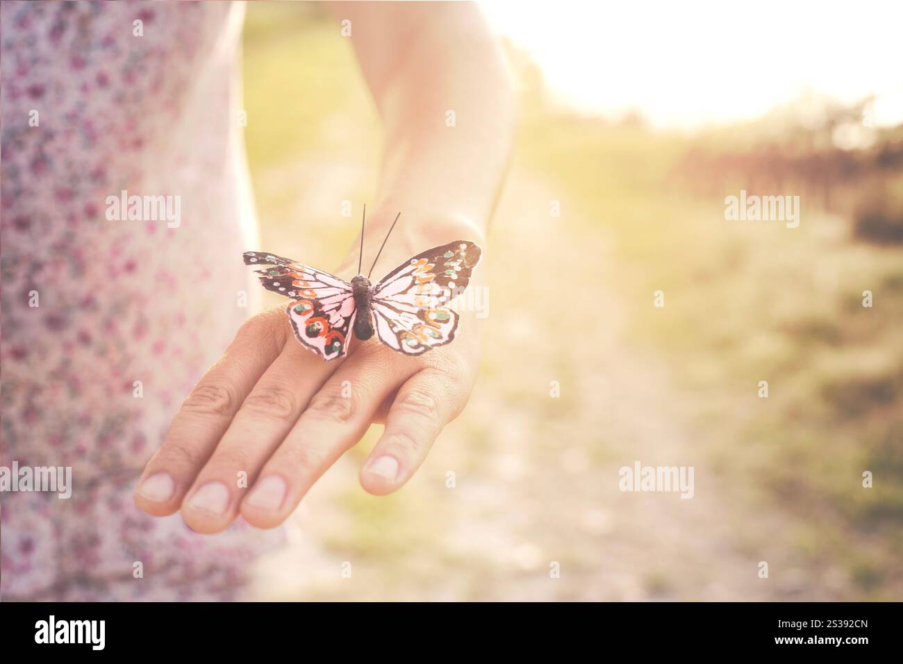 Hand also rests hi-res stock photography and images - Alamy