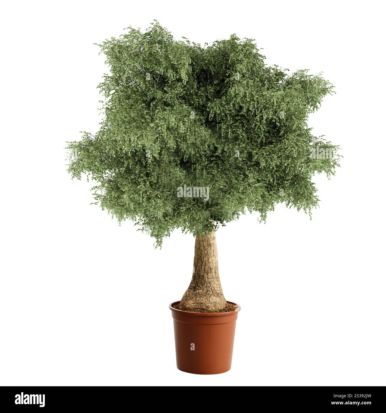 Vase pot plant flower Cut Out Stock Images & Pictures - Alamy