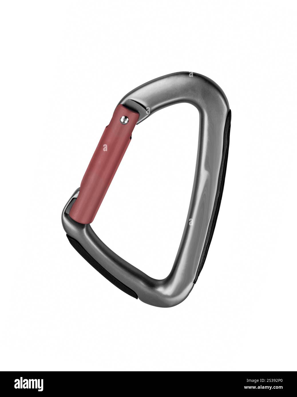 Carabin isolated on white background. Carabin isolated on white Stock ...