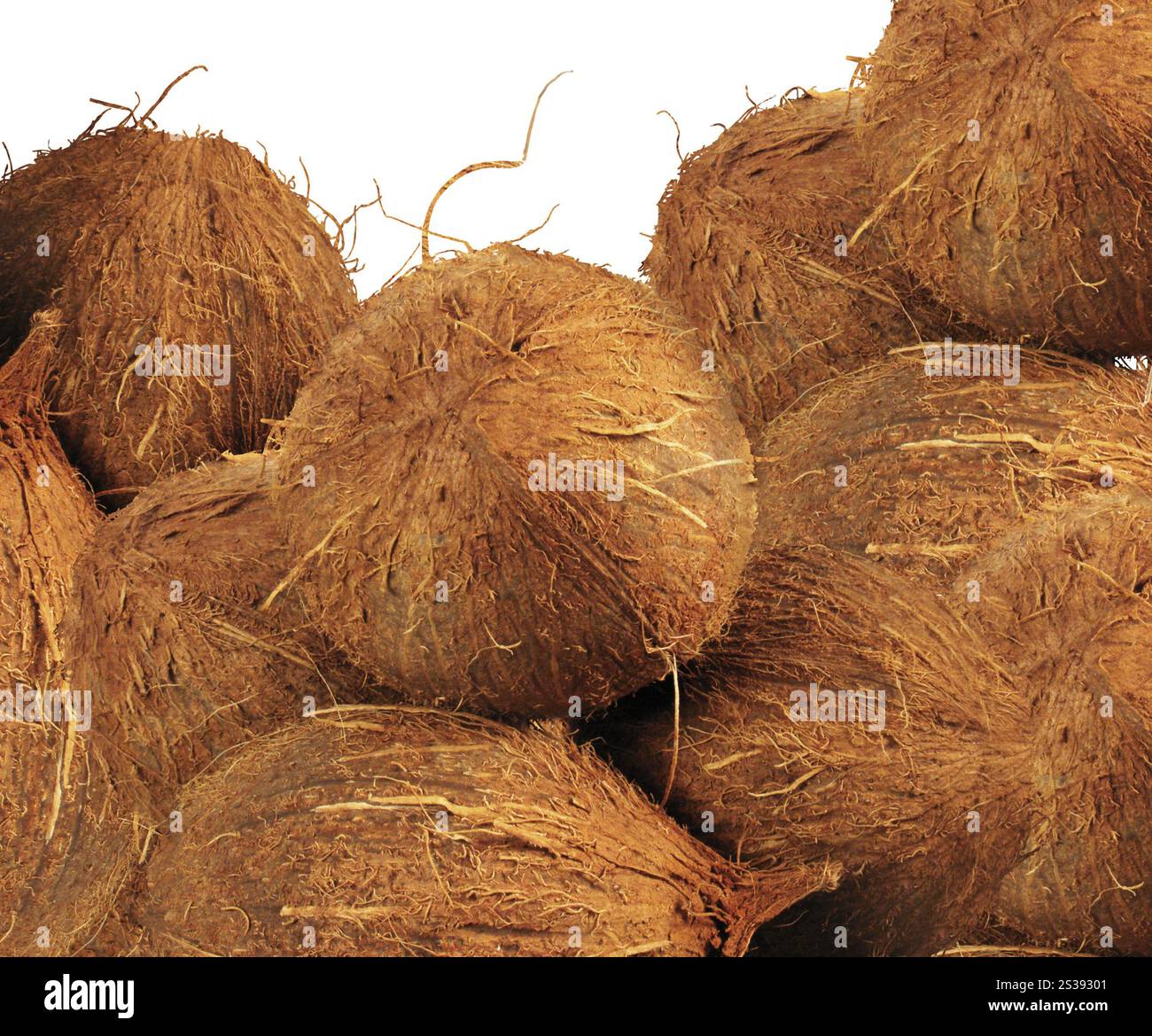 Coconut background texture Stock Photo - Alamy