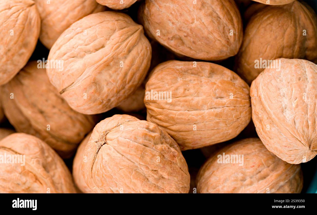 Collection walnuts hi-res stock photography and images - Alamy