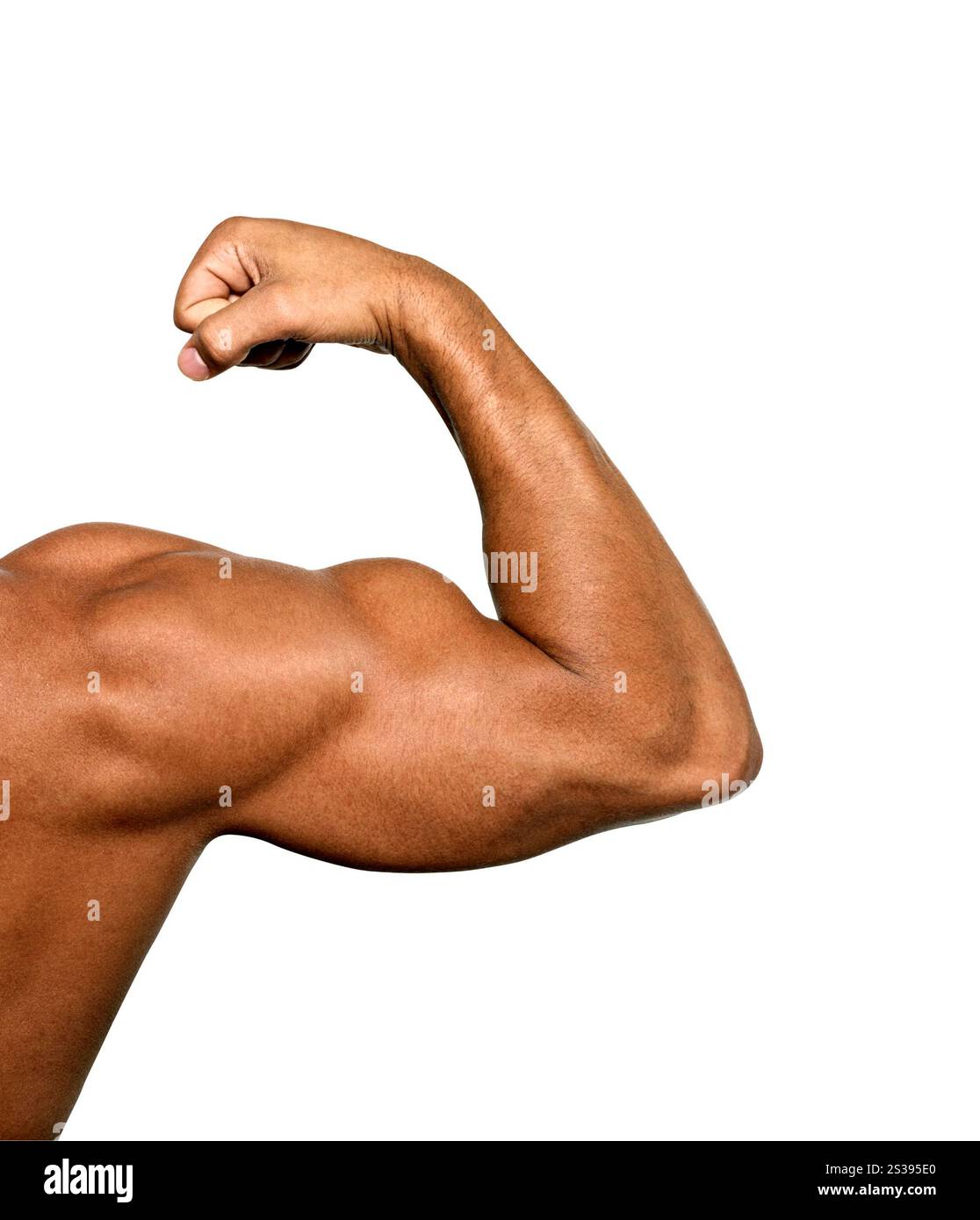 Biceps of arm hi-res stock photography and images - Alamy