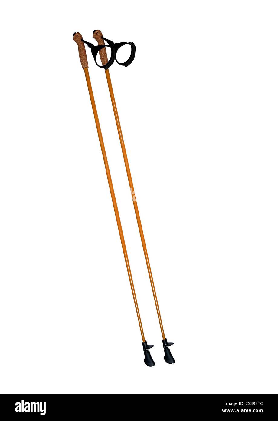 walking sticks isolated on white background. walking sticks under thew ...