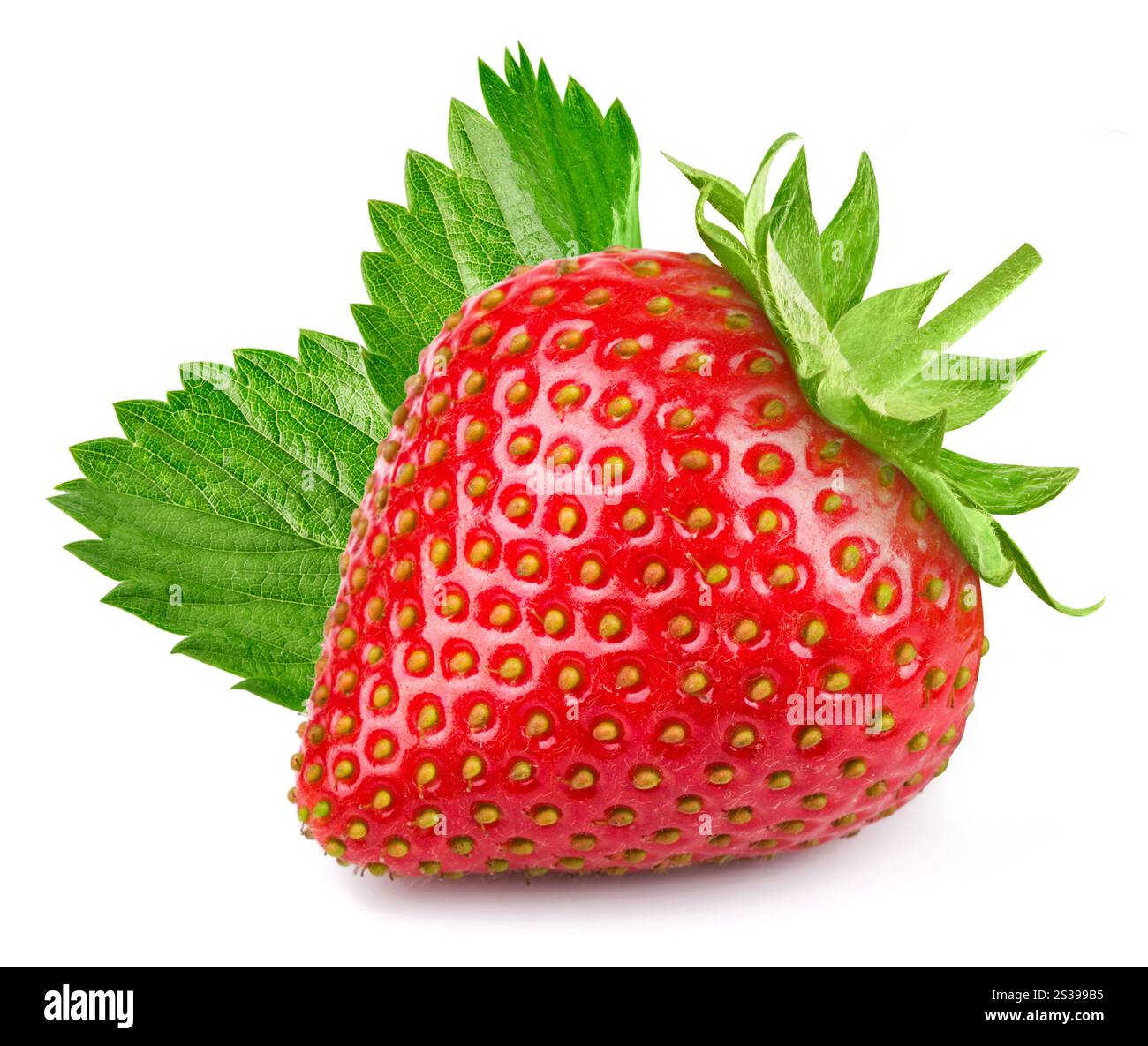 Strawberry. Strawberry leaf isolated on white background. Strawberry ...