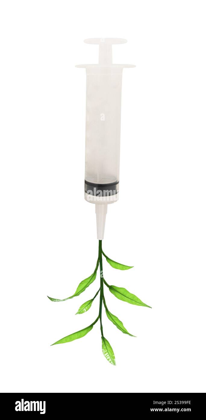 syringe with a small tree isolated on white background. syringe with a ...