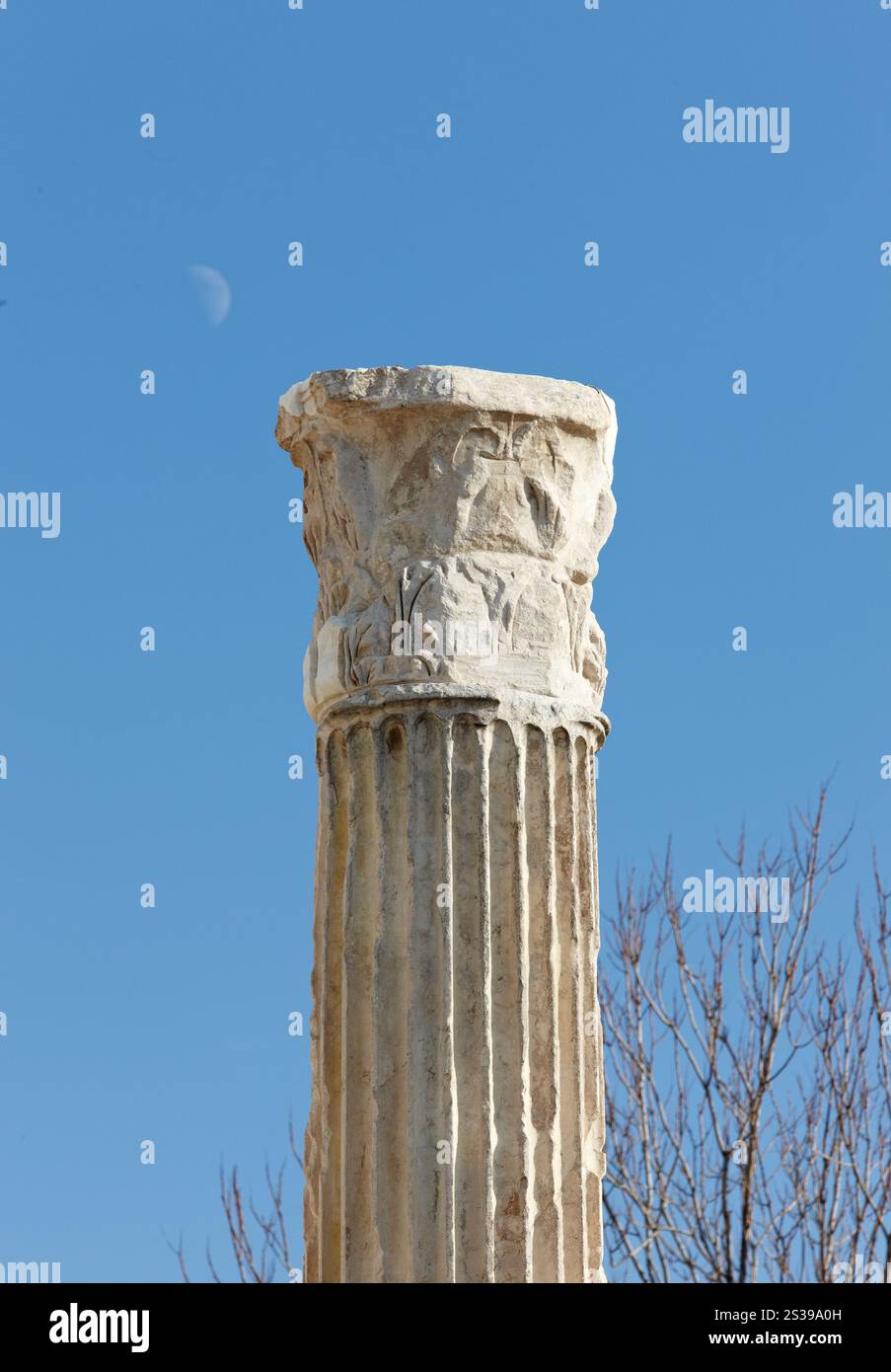 Architecture, ruins and temple with column in nature for antique ...