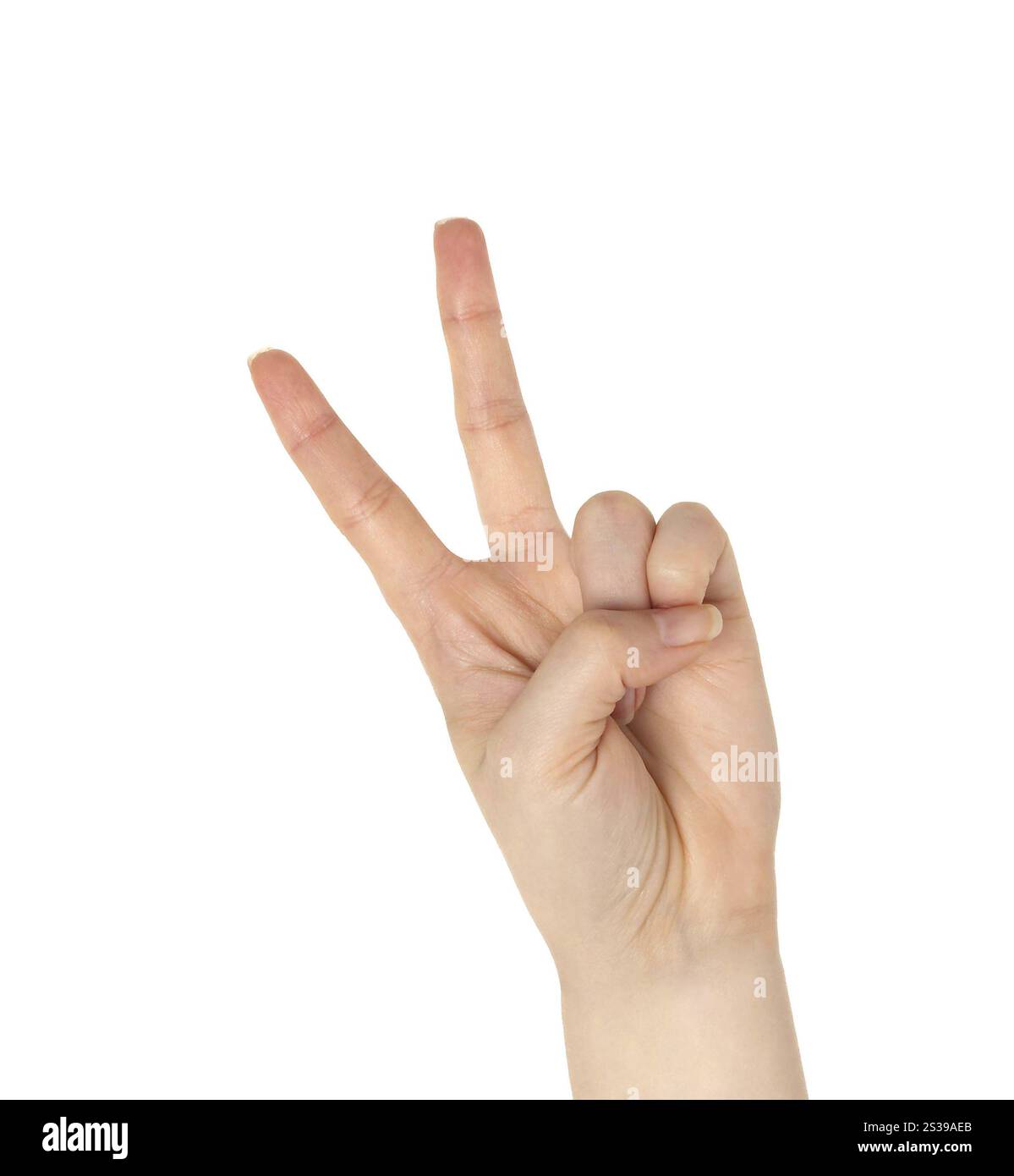 Hand with two fingers up in the peace or victory symbol. Also the sign ...