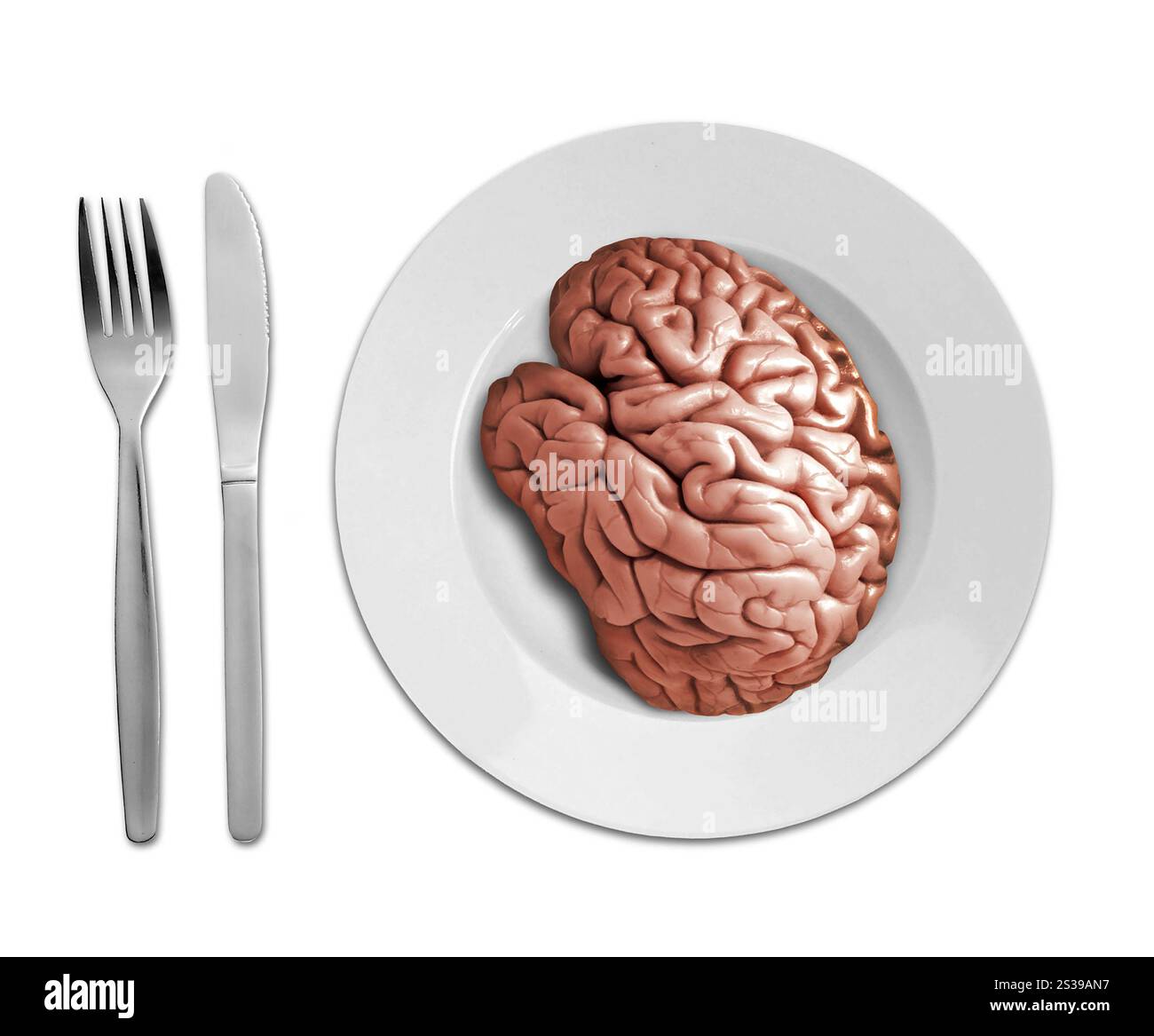 human brain on plate isolated on white background. human brain on plate ...