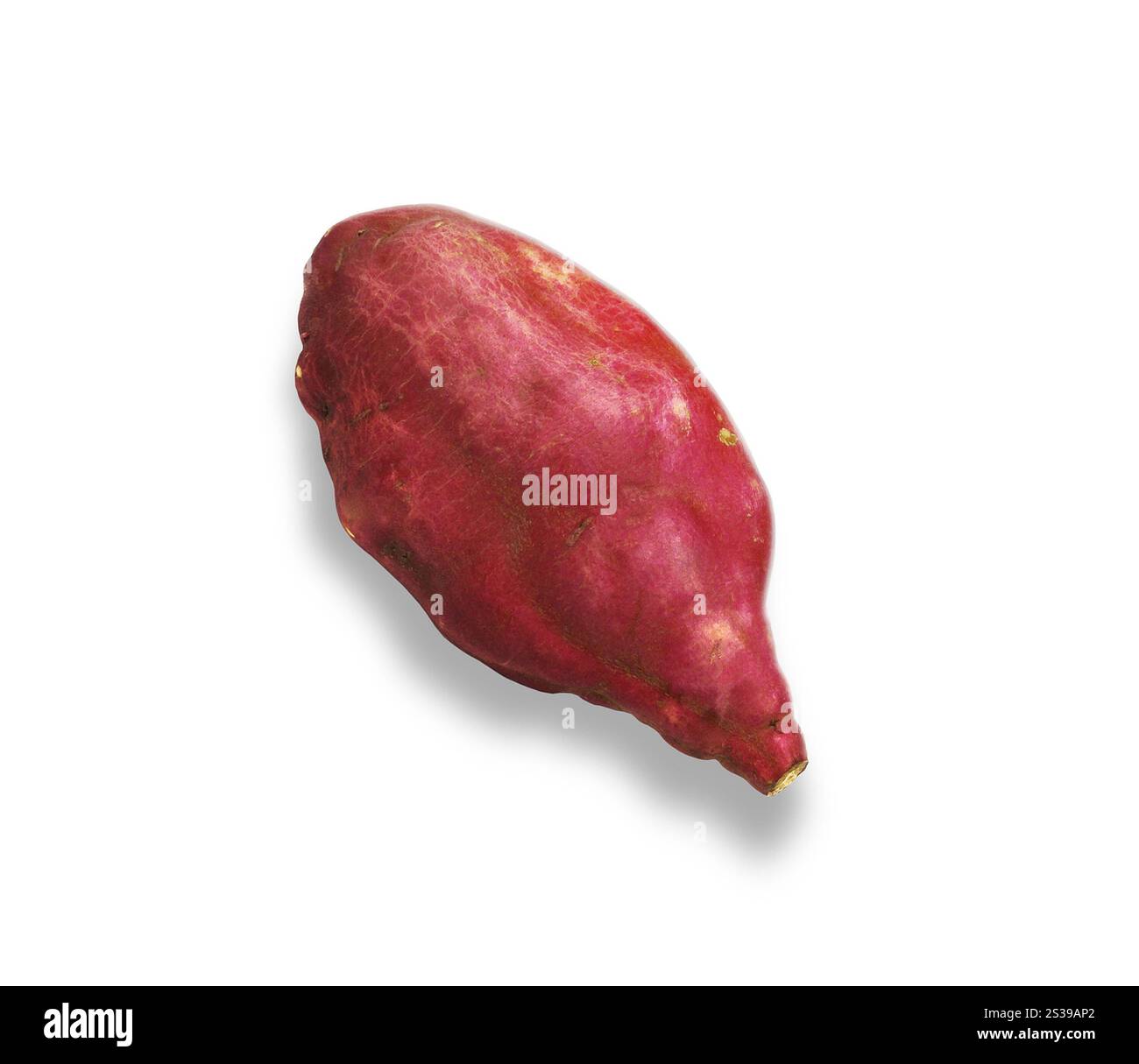 red batatas isolated on white background. red batatas Stock Photo - Alamy