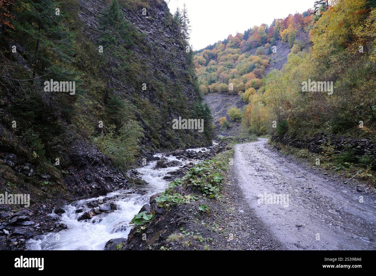A bright blue river flowing through forest in a hidden park along the ...