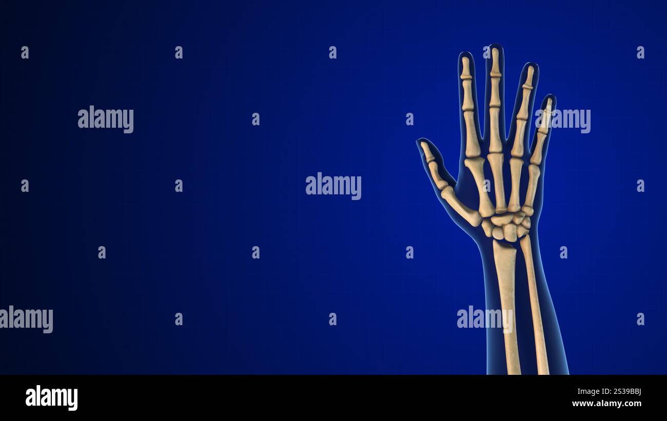 Normal Hand Arthritis with Copy Space Stock Photo - Alamy