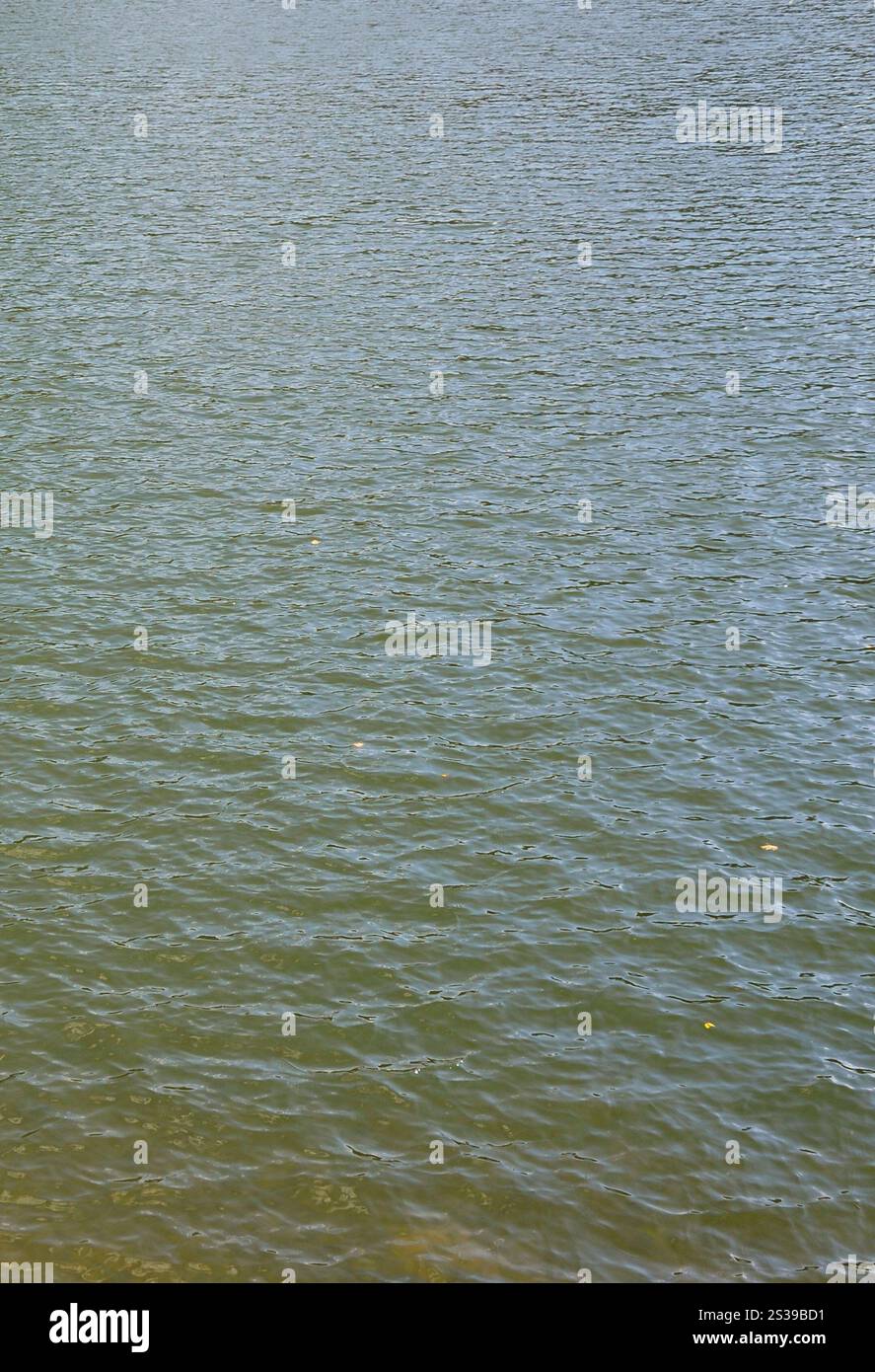 Texture of contaminated river water. The consequences of pollution ...