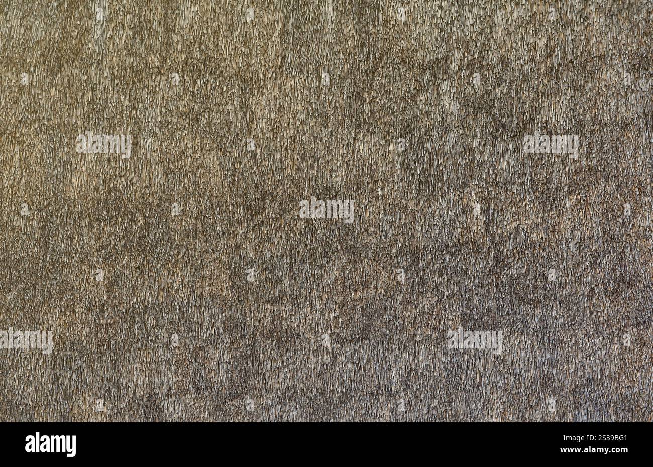 Texture of hay bale background or dry grass background. Textured hay ...